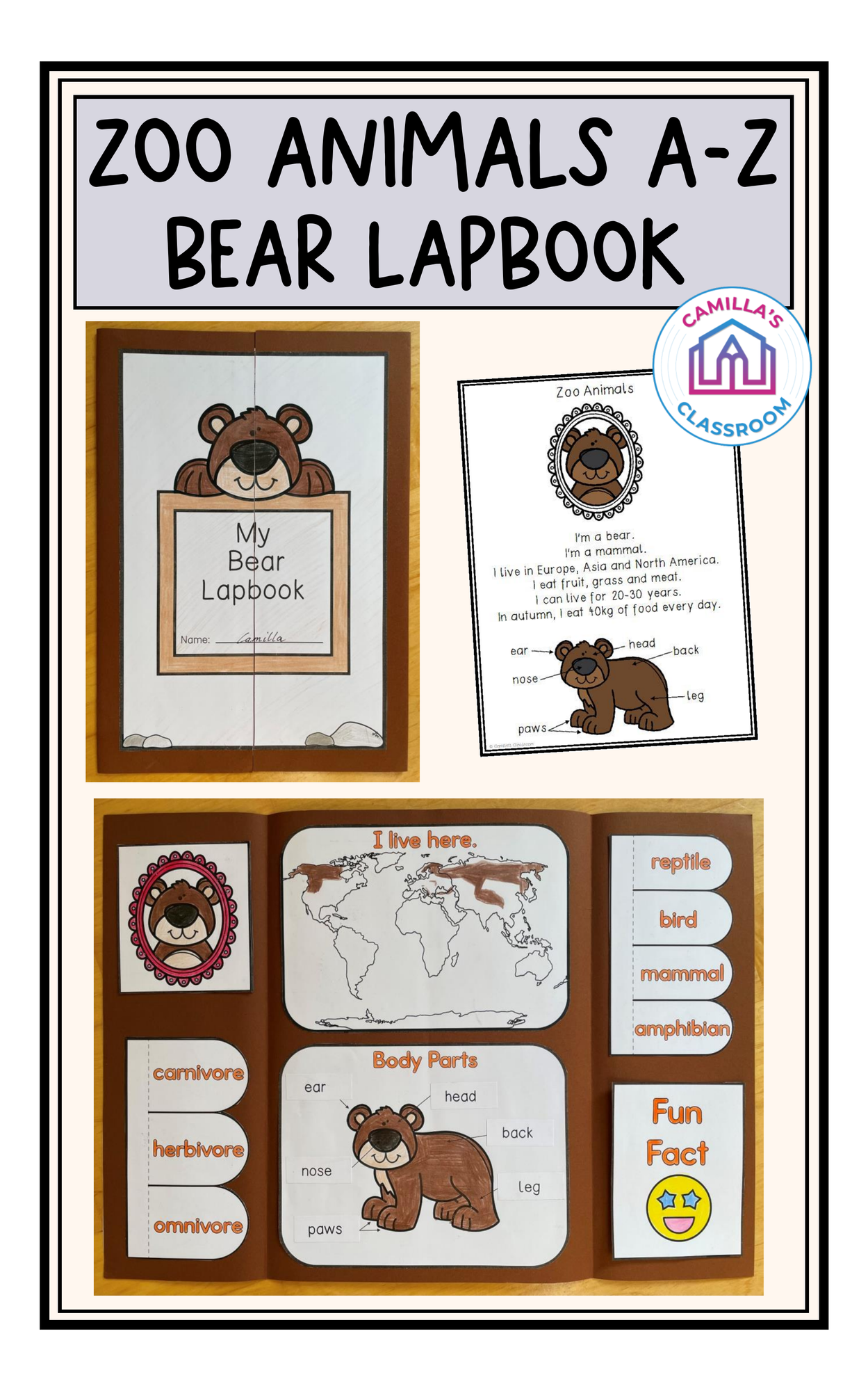 Zoo Animals A-Z - Bear Lapbook – Unterrichtsmaterial im Fach Englisch
