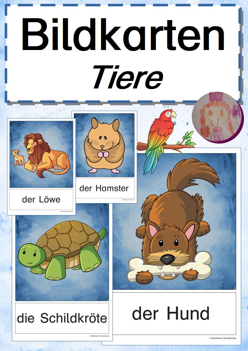 Bildkarten: Tiere – Unterrichtsmaterial in den Fächern Deutsch ...