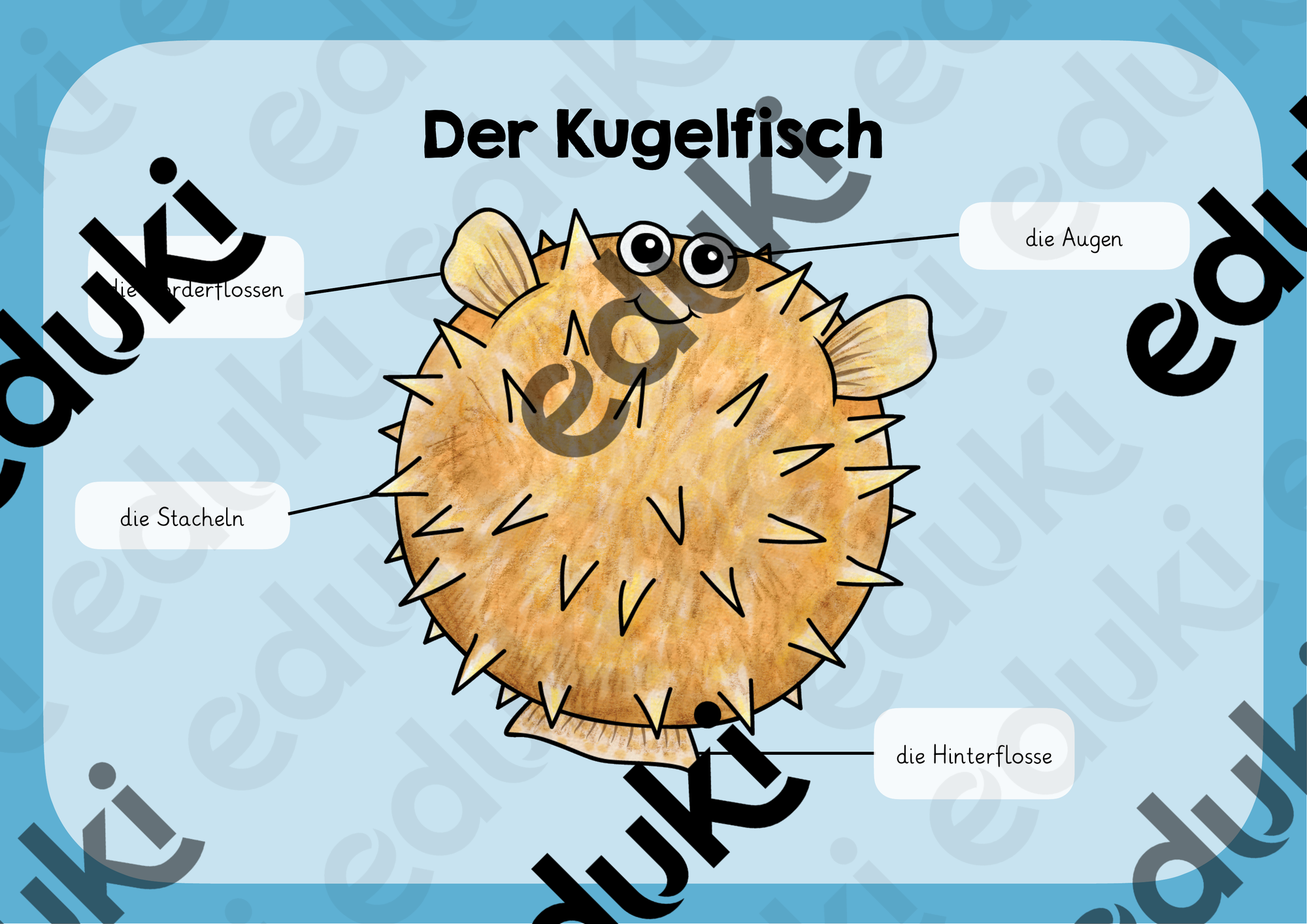 Kugelfisch Lernplakat – Unterrichtsmaterial im Fach Sachunterricht