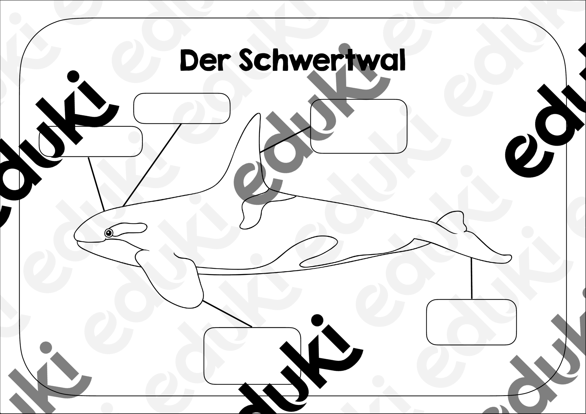 Schwertwal Lernplakat - Arbeitsblatt – Unterrichtsmaterial im Fach ...