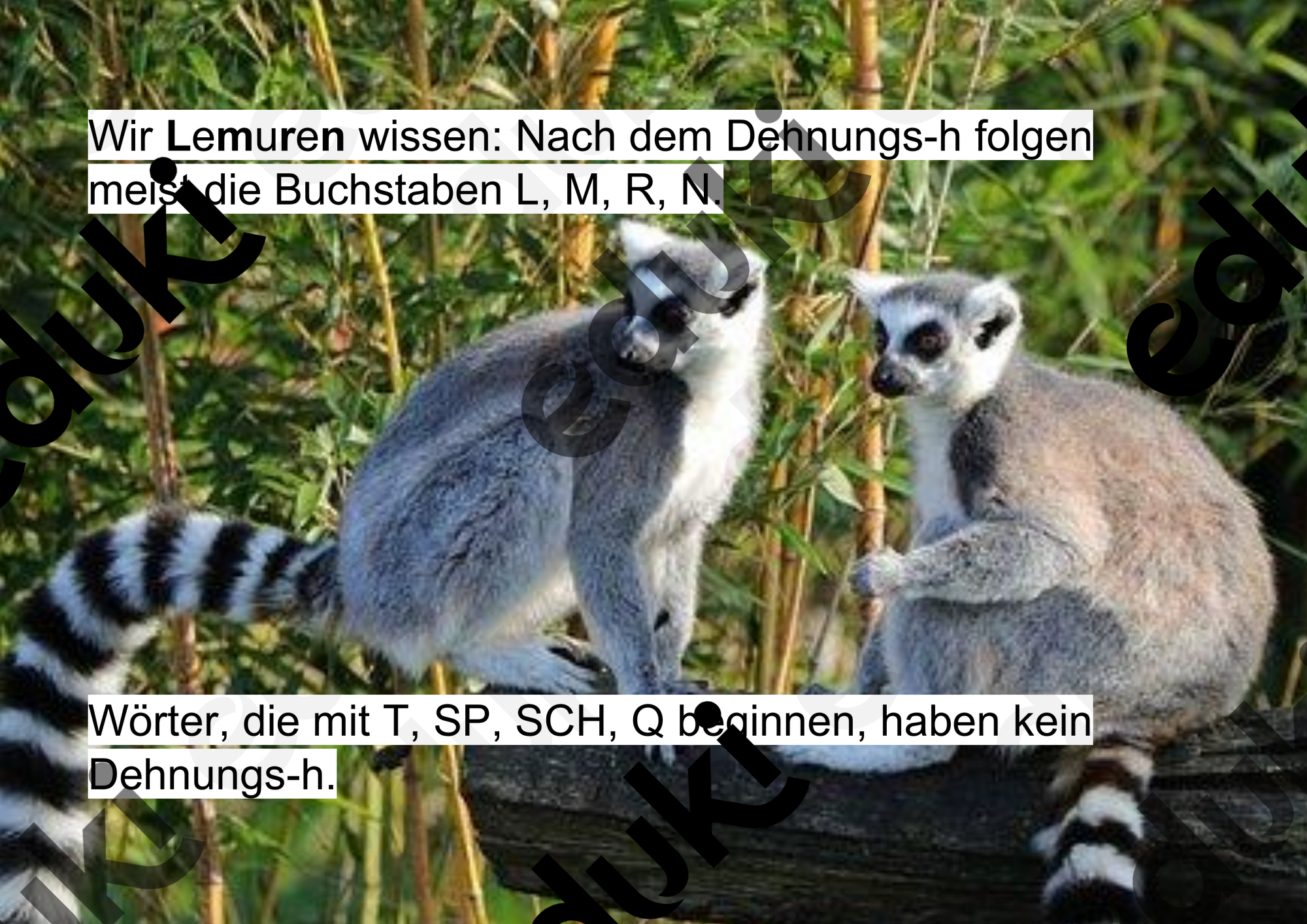 Materialpaket Dehnungs-h – Unterrichtsmaterial im Fach Deutsch