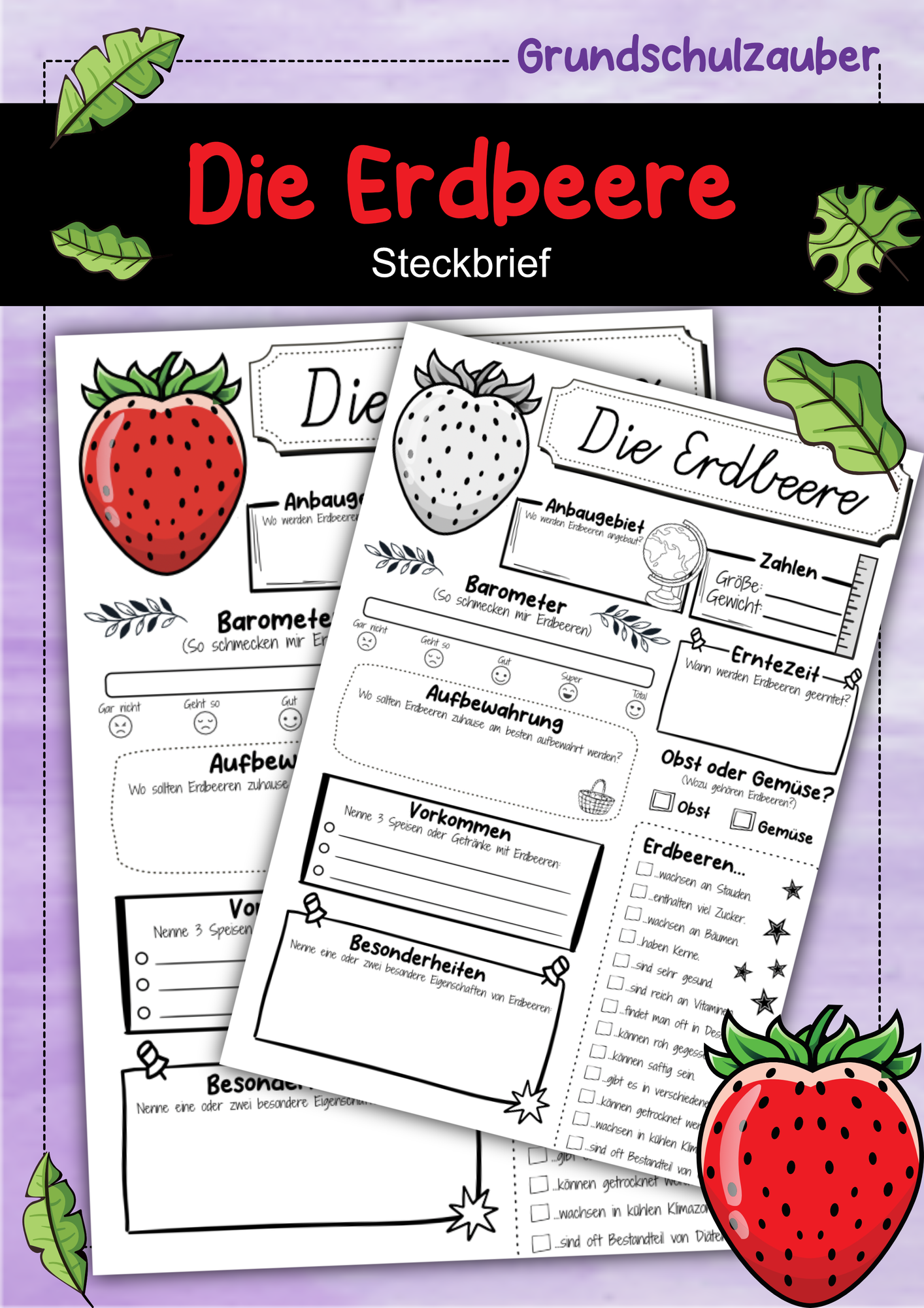 Steckbrief Erdbeere – Unterrichtsmaterial im Fach Sachunterricht