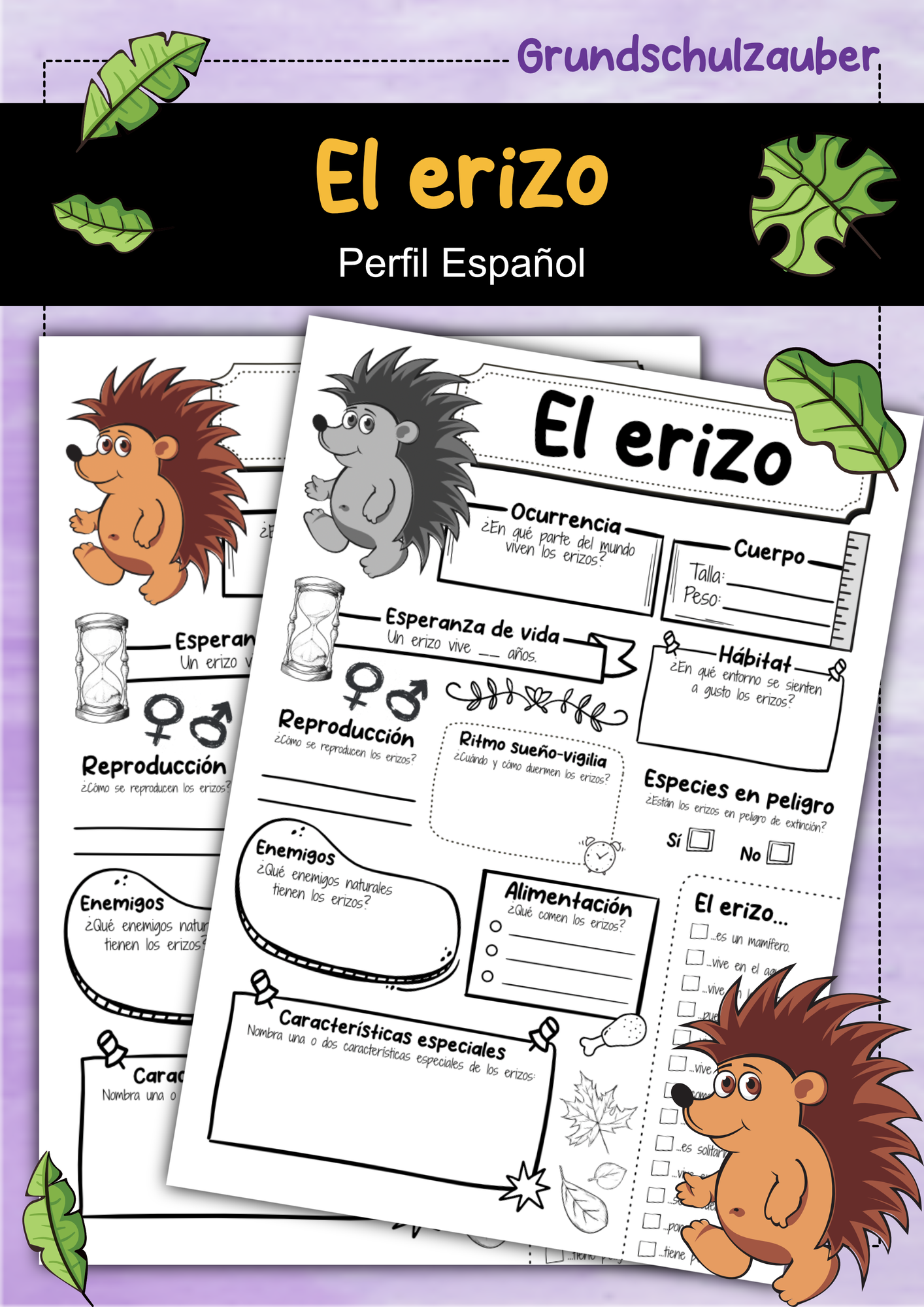 Ficha sobre el erizo (español) – Unterrichtsmaterial in den Fächern ...