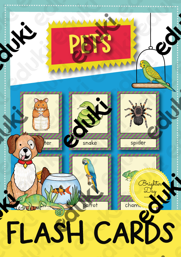 Pets: Flash Cards / Bild- und Wortkarten (Englisch) – Unterrichtsmaterial im Fach Englisch