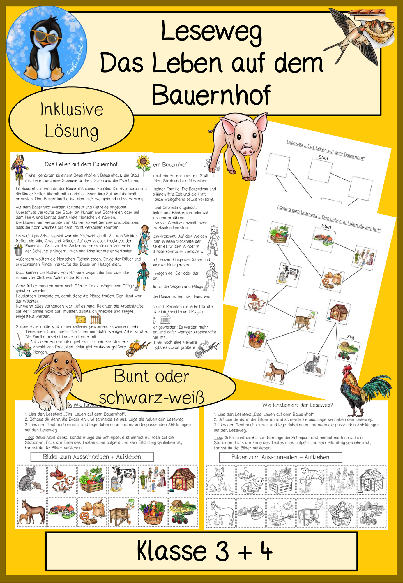 Leseweg "Das Leben auf dem Bauernhof", Sachtext, Leseübung, Klasse 3 ...