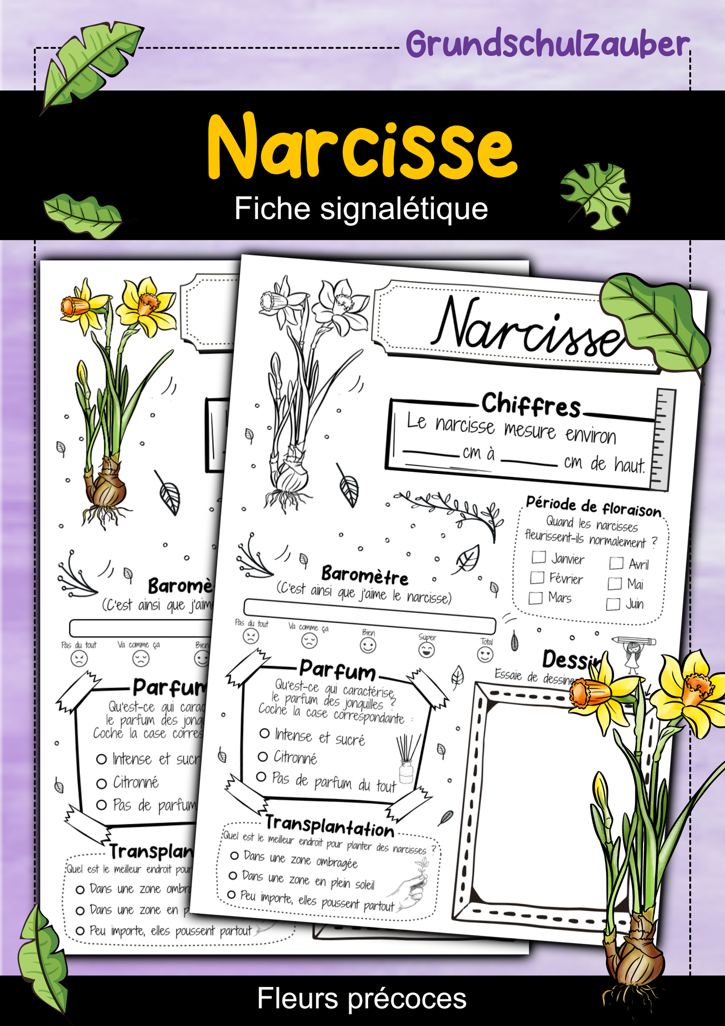 Narcisse - Fleurs précoces (français) – Unterrichtsmaterial in den ...