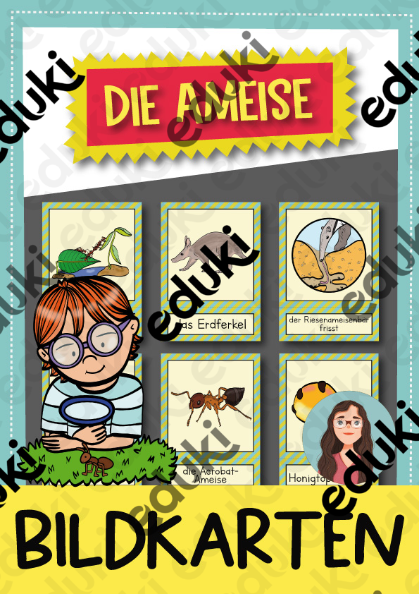 Die Ameise: Bildkarten / Sachunterricht – Unterrichtsmaterial in den ...