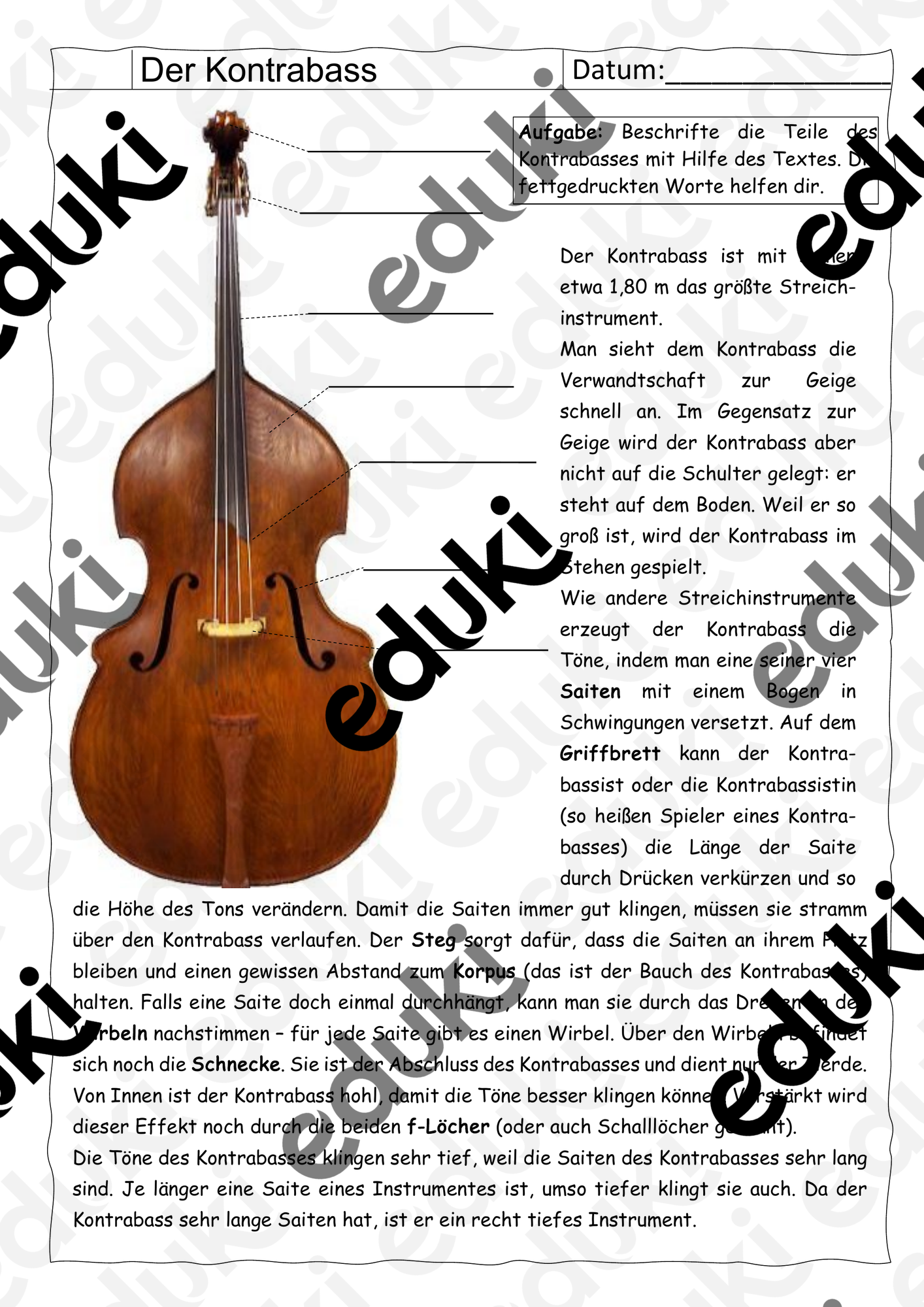 Aufbau Des Kontrabasses