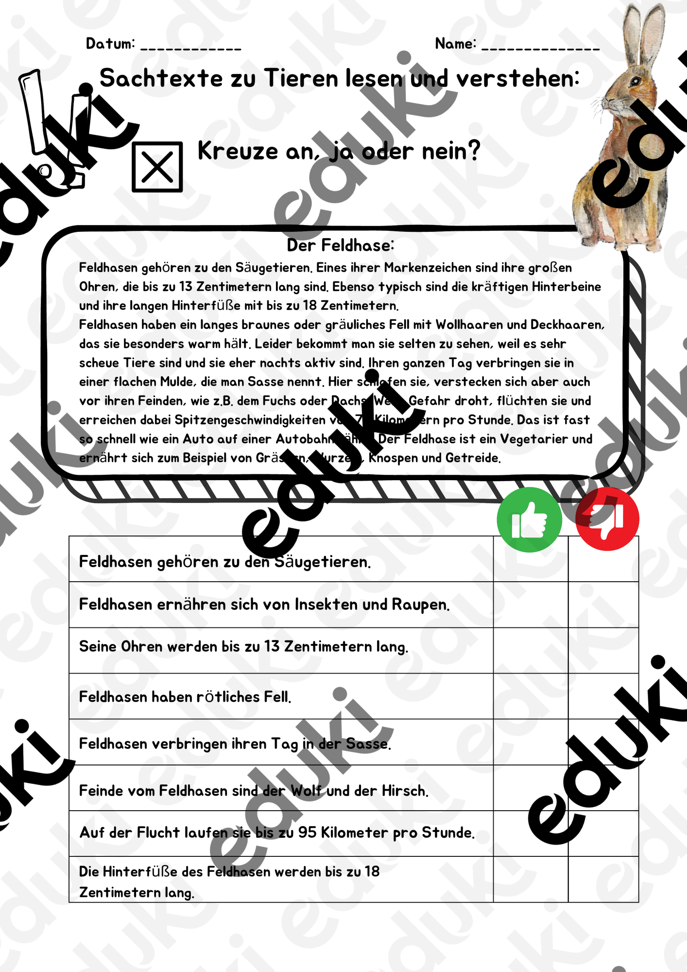 Sachtexte lesen und verstehen: Der Feldhase – Unterrichtsmaterial in ...