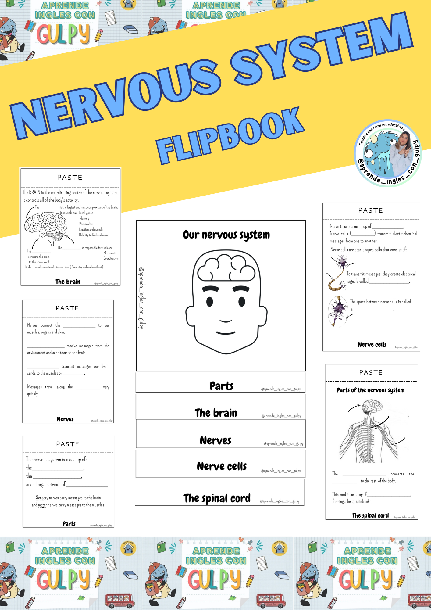 Flipbook nervous system - material de la siguiente asignatura Ciencias ...