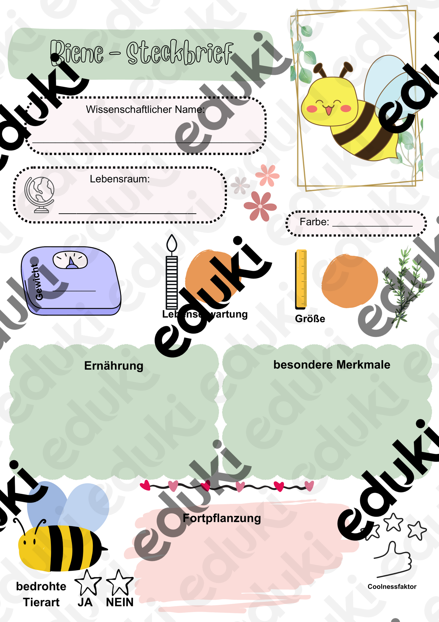 Biene Steckbrief – Unterrichtsmaterial im Fach Sachunterricht