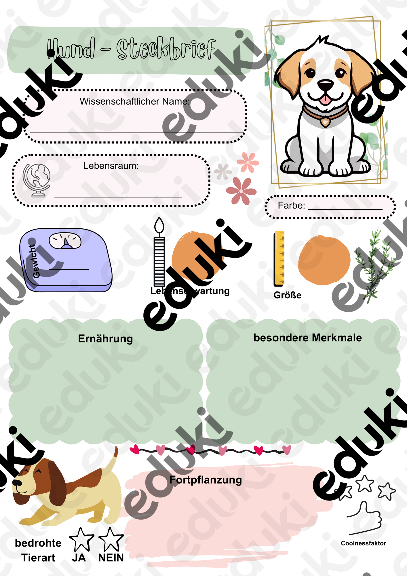Hund Steckbrief – Unterrichtsmaterial im Fach Sachunterricht
