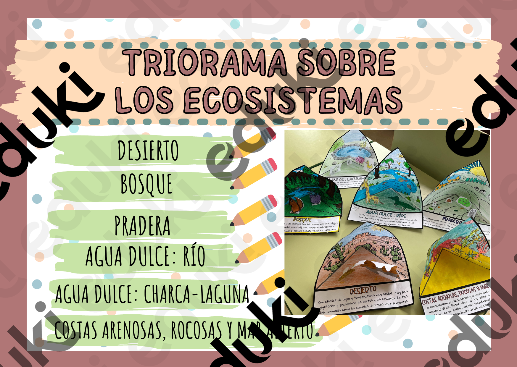 TRIORAMAS DE ECOSISTEMAS - material didáctico de las asignaturas ...