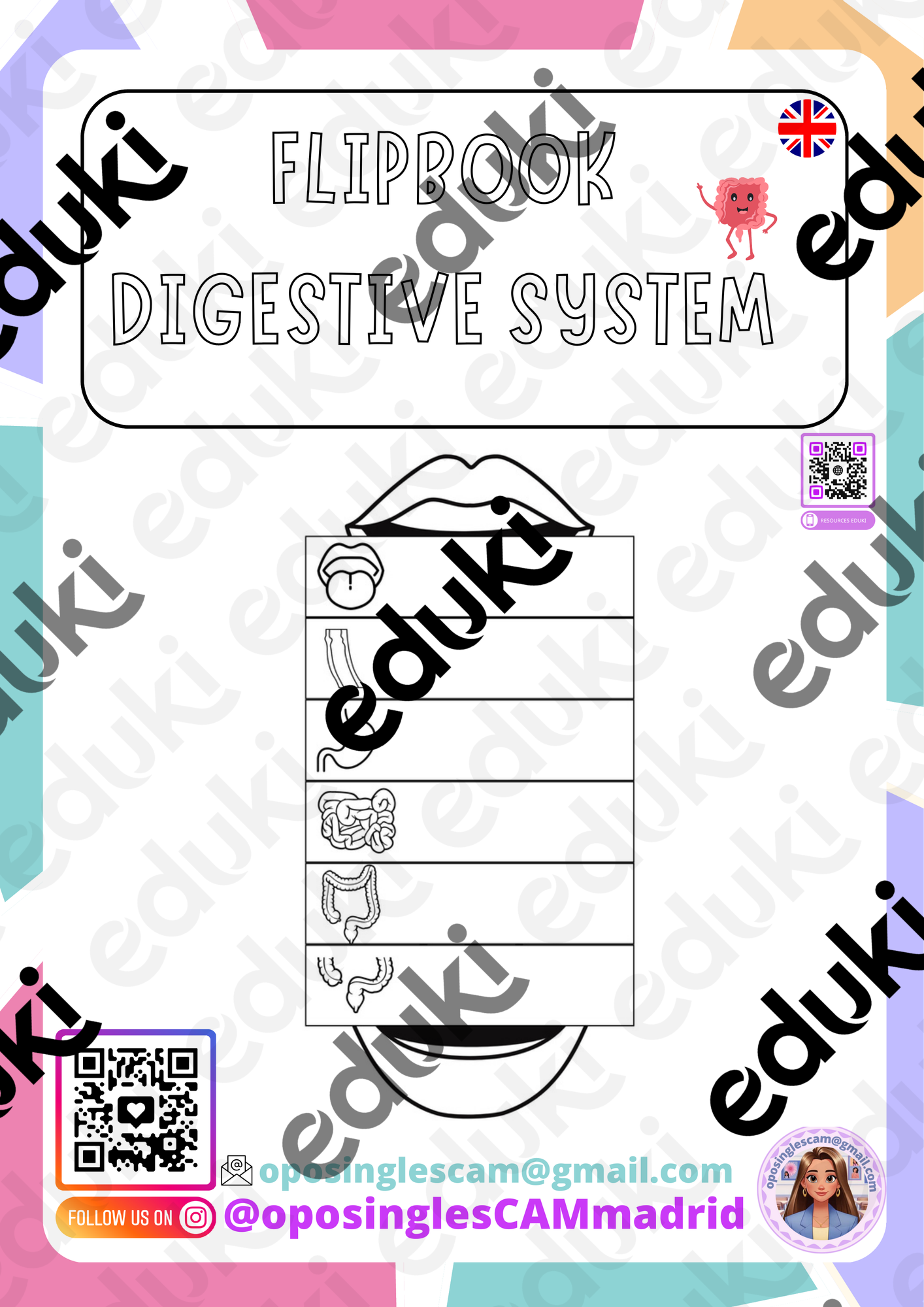 FLIPBOOK- digestive system - material de la siguiente asignatura ...