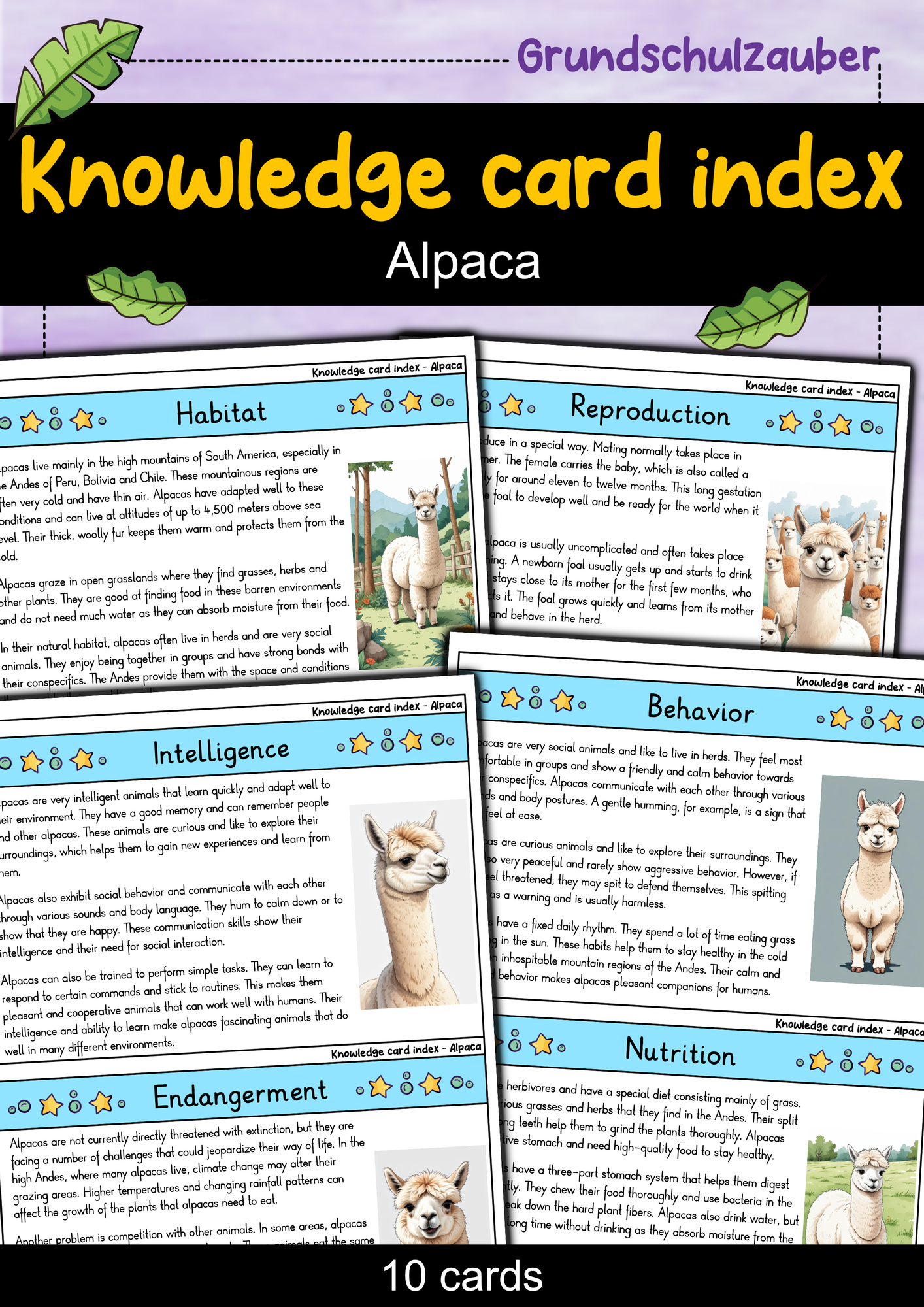 Alpaca - Knowledge card index - Animals (English) – Unterrichtsmaterial ...