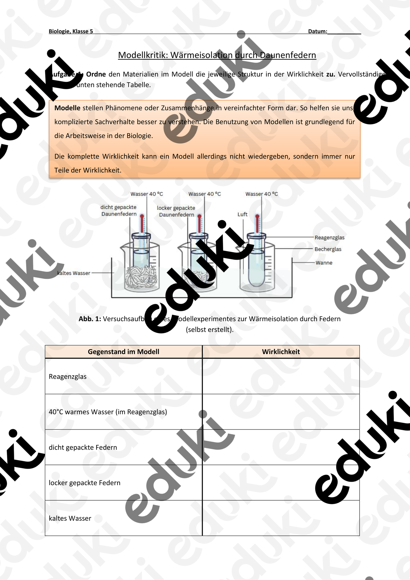 Modellkritik Wärmeisolation durch Daunenfedern – Unterrichtsmaterial im ...