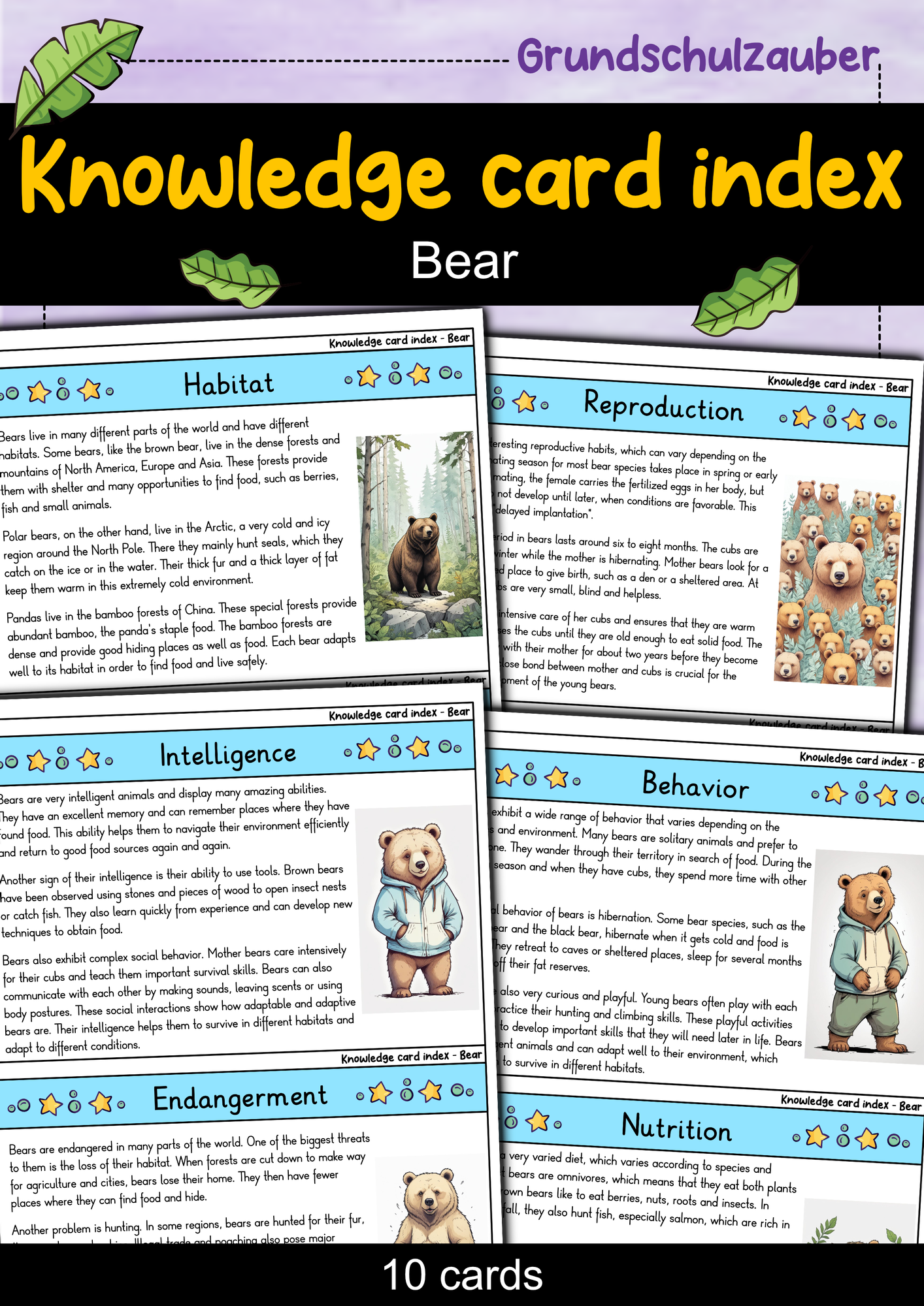 Bear - Knowledge card index - Animals (English) – Unterrichtsmaterial ...
