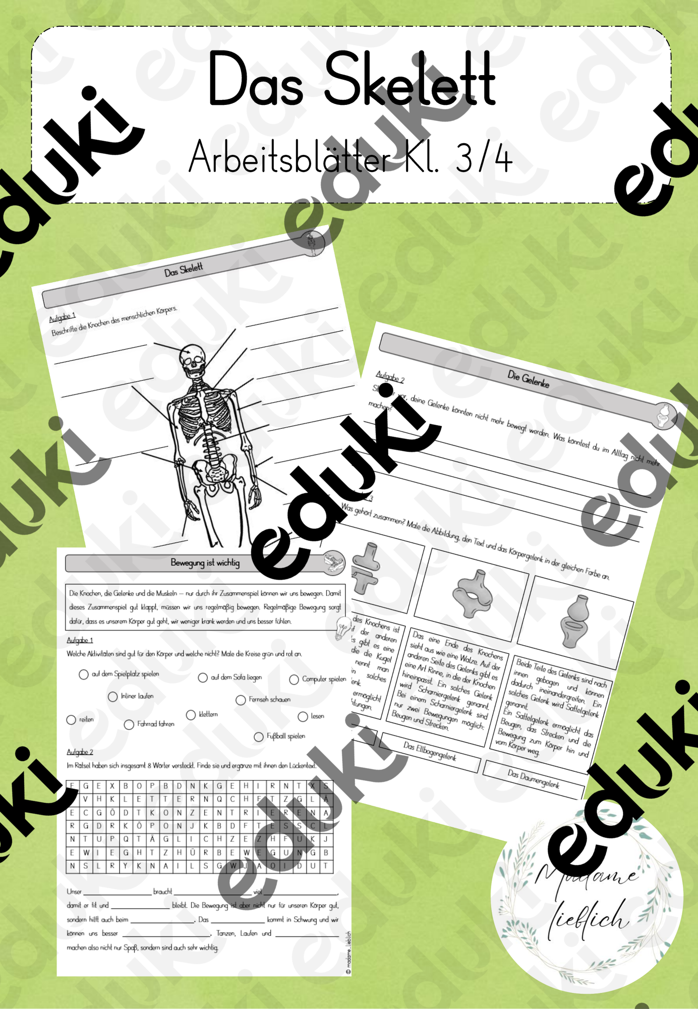 Der Körper - Das Skelett (Arbeitsblätter) – Unterrichtsmaterial im Fach ...