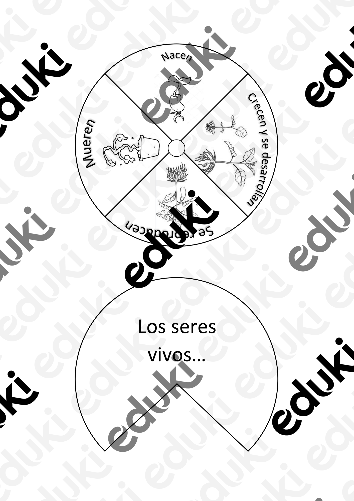 Ciclo de vida de los seres vivos - material de la siguiente asignatura ...