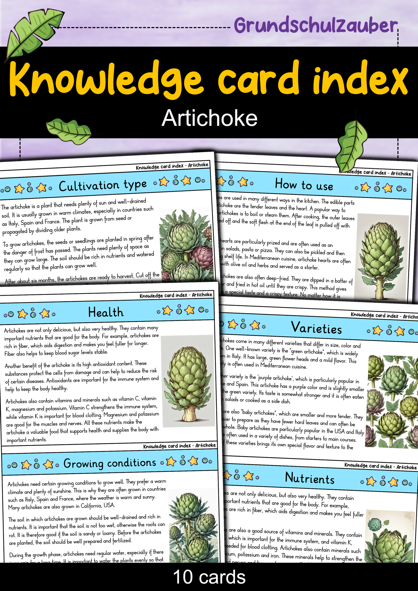 Artichoke - Knowledge card index - Vegetables (English ...