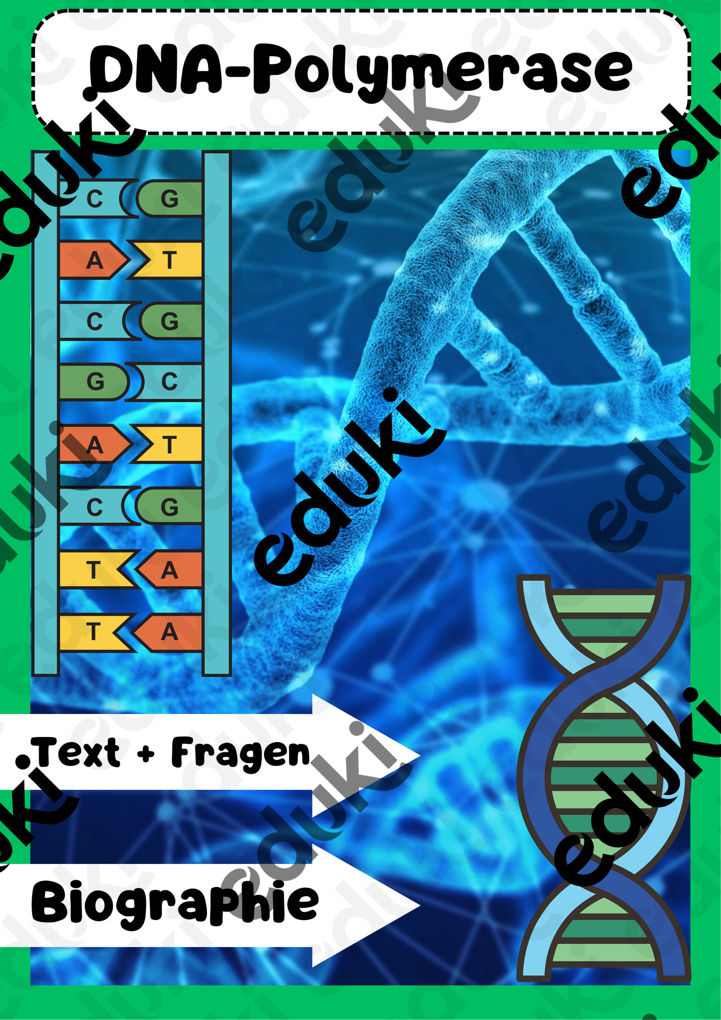 DNA-Polymerase: Struktur, Funktion, Bedeutung – Unterrichtsmaterial im ...