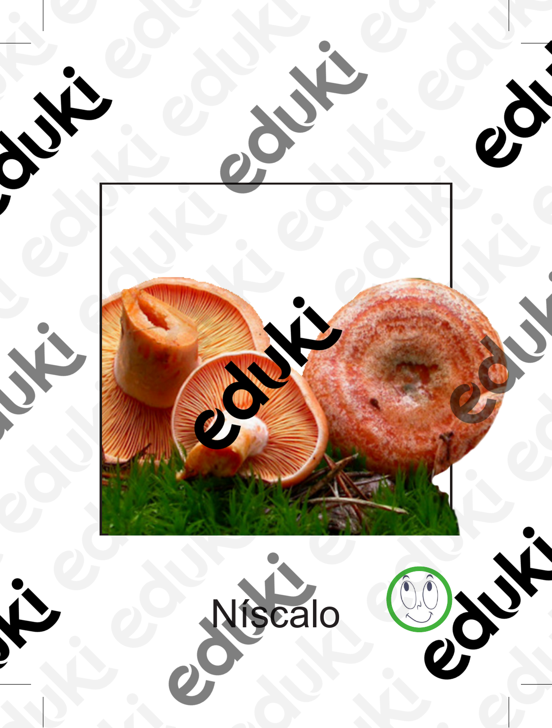 Fichas de Setas: ¿Comestibles o No? - material didáctico de las asignaturas Biología ...