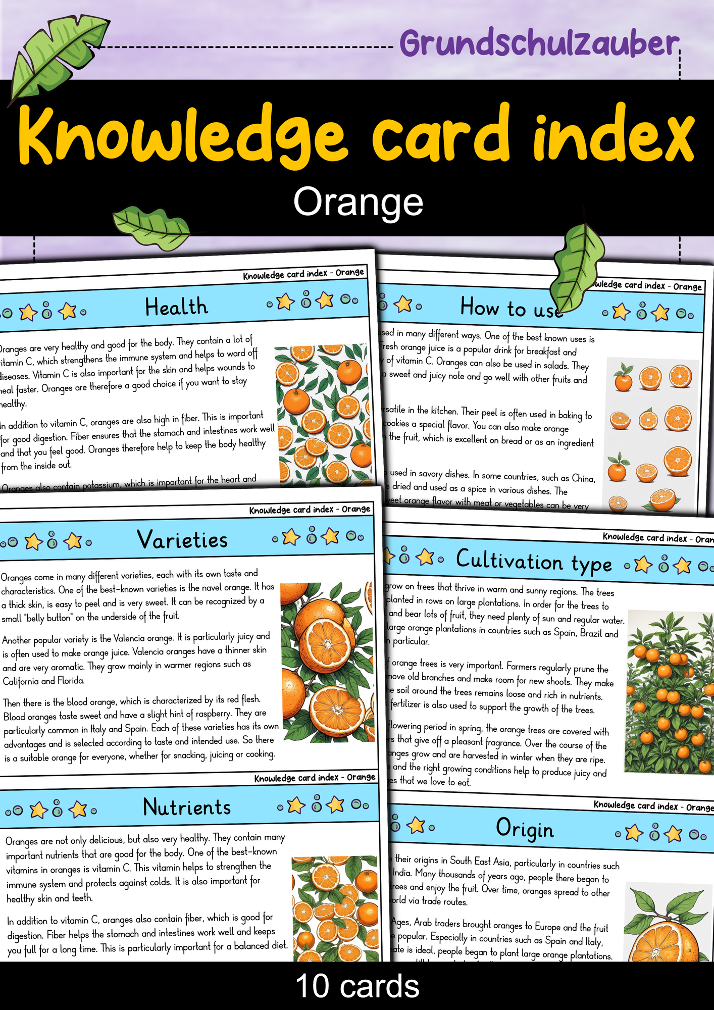 Orange - Knowledge card index - Fruit (English) – Unterrichtsmaterial ...