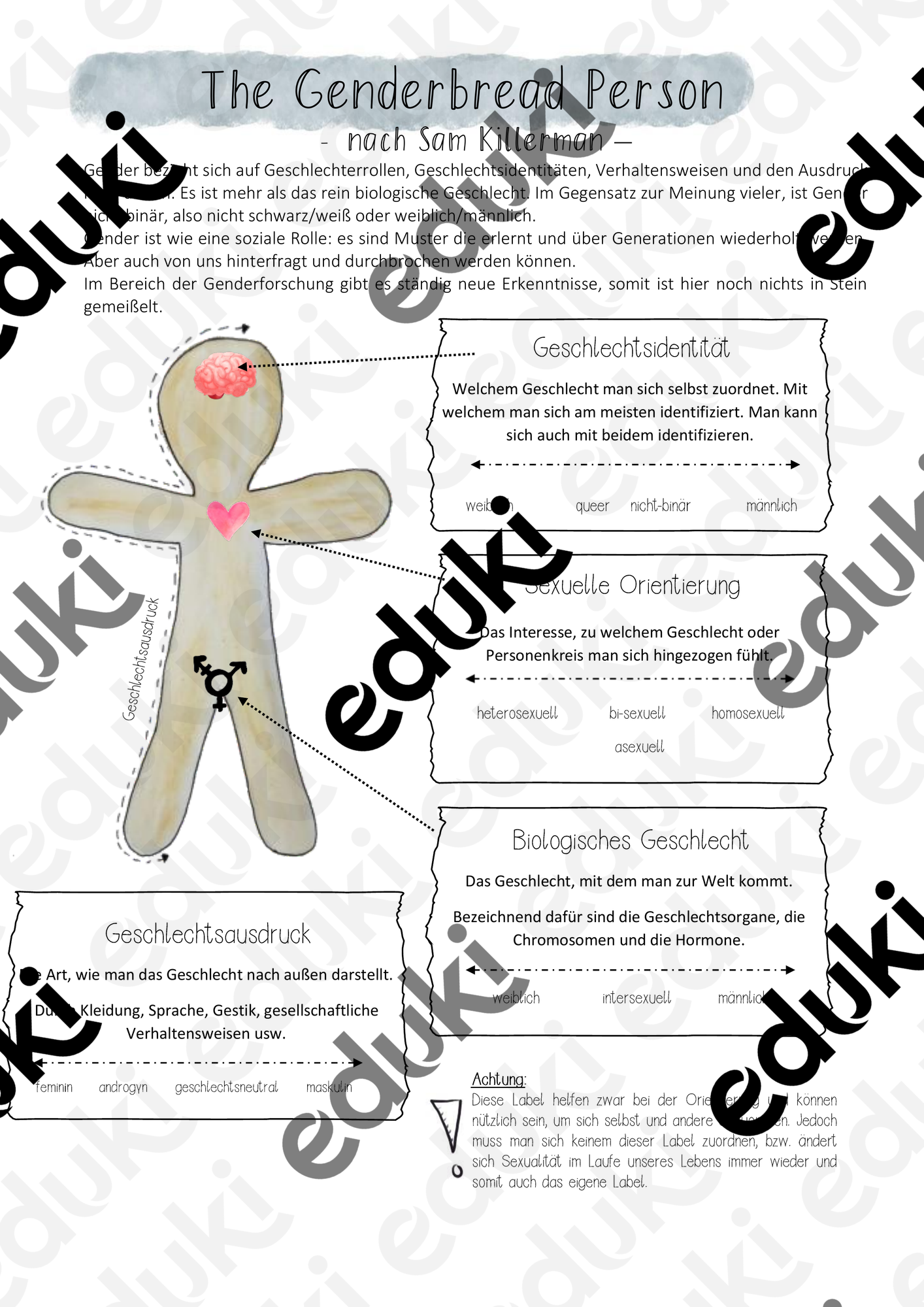 Genderbread Person – Unterrichtsmaterial in den Fächern Biologie ...