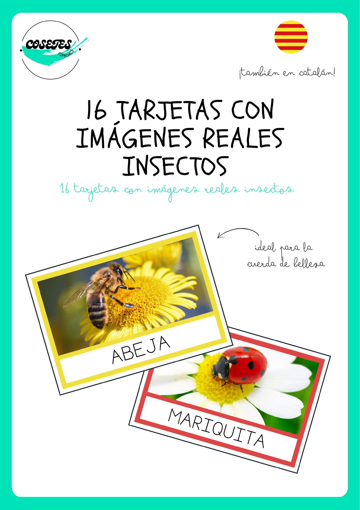 16 TARJETAS CON IMÁGENES REALES INSECTOS - material didáctico de las ...
