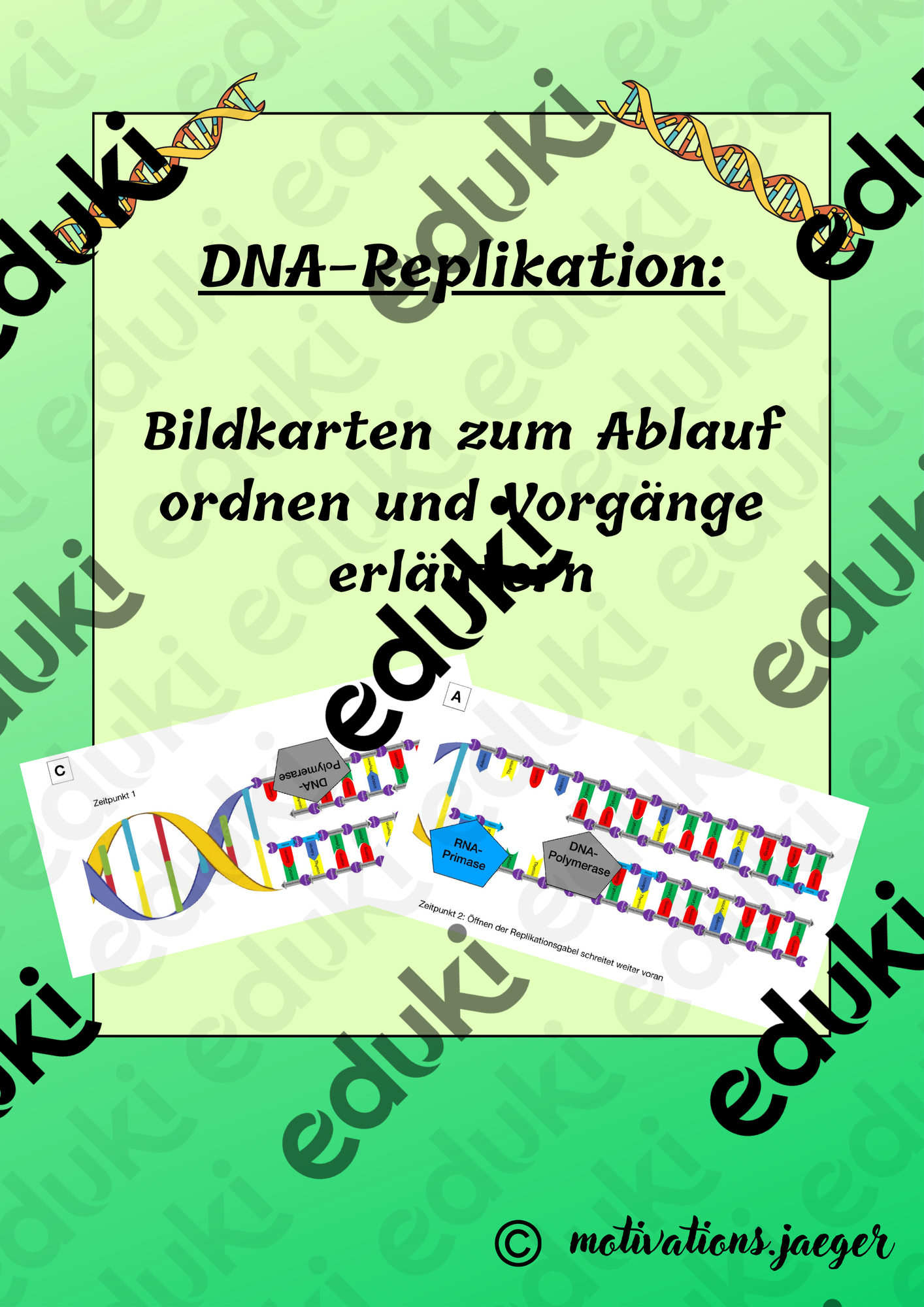 DNA-Replikation: Ablauf anhand von Bildkarten erschließen ...
