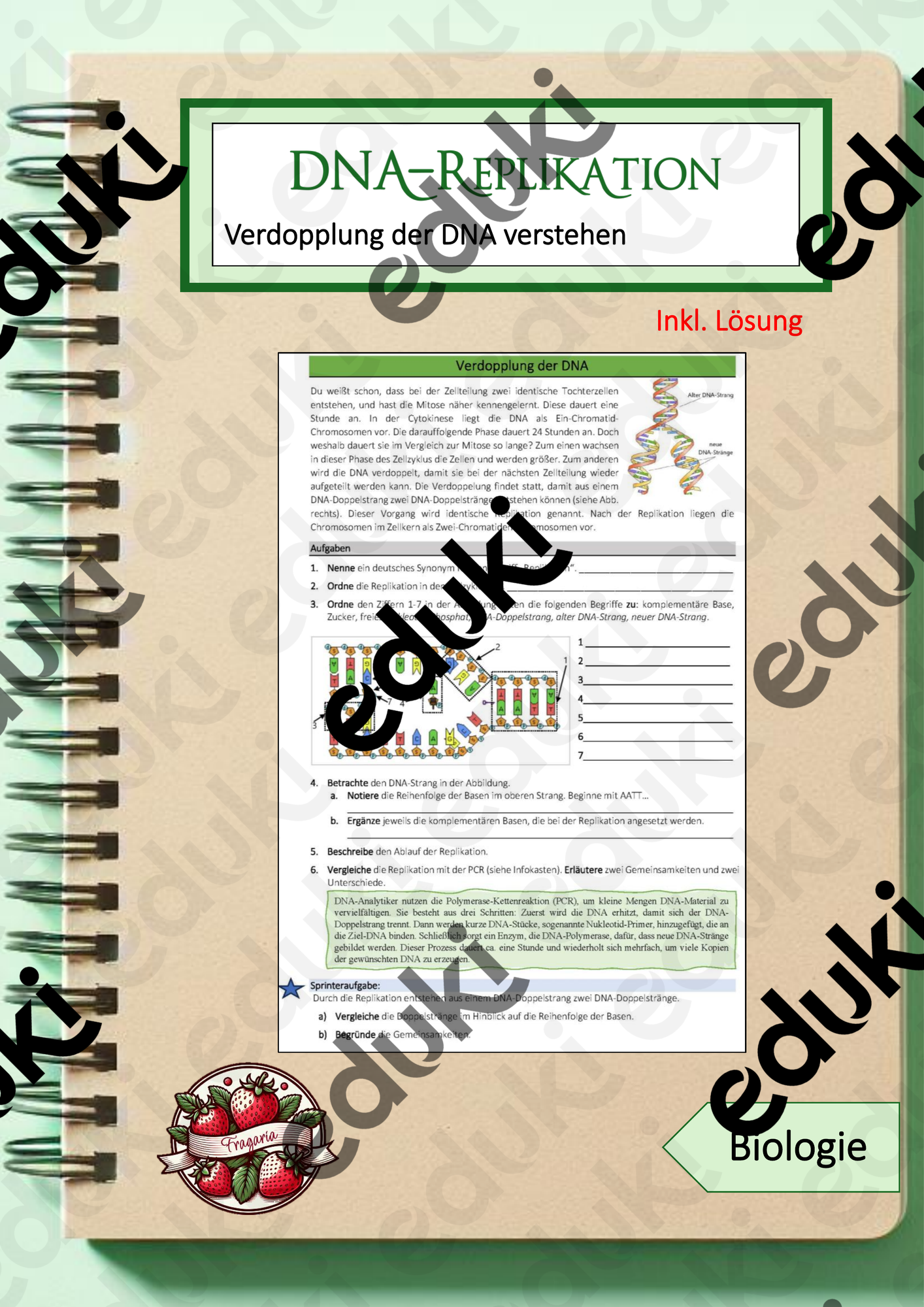 DNA-Replikation – Unterrichtsmaterial im Fach Biologie