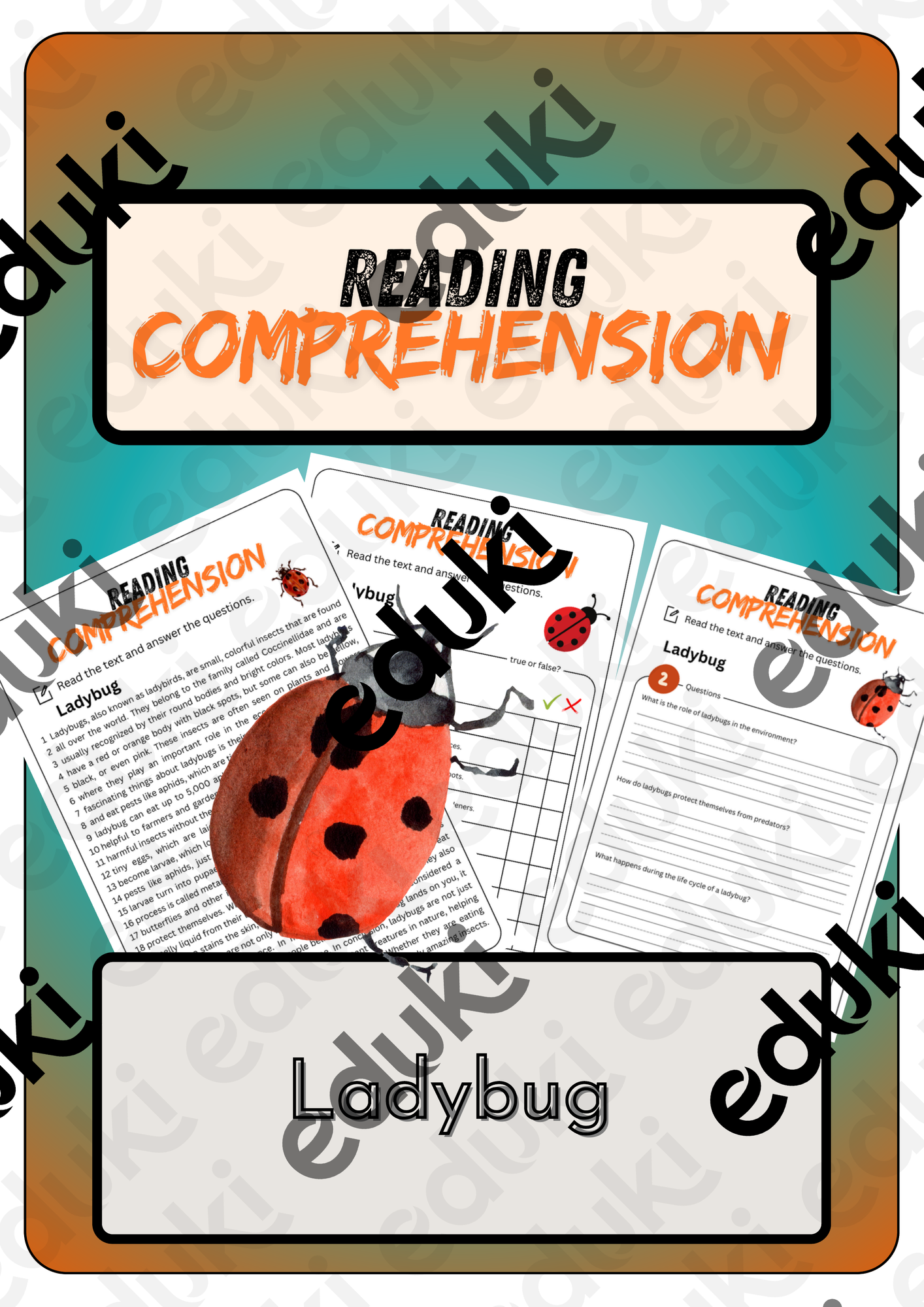 Reading Comprehension - Ladybug + Solutions – Unterrichtsmaterial im ...