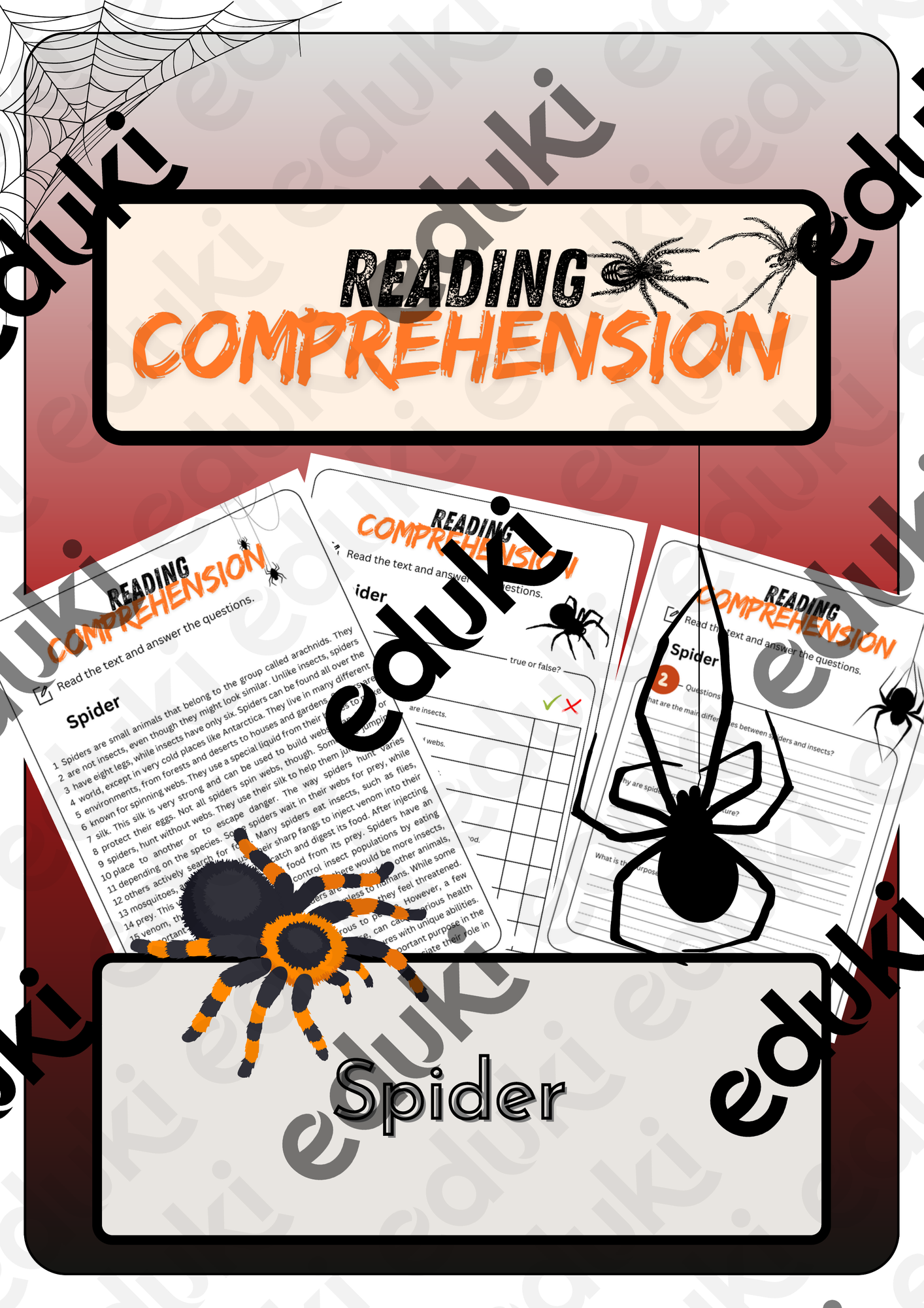 Reading Comprehension - Spider + Solutions – Unterrichtsmaterial im ...