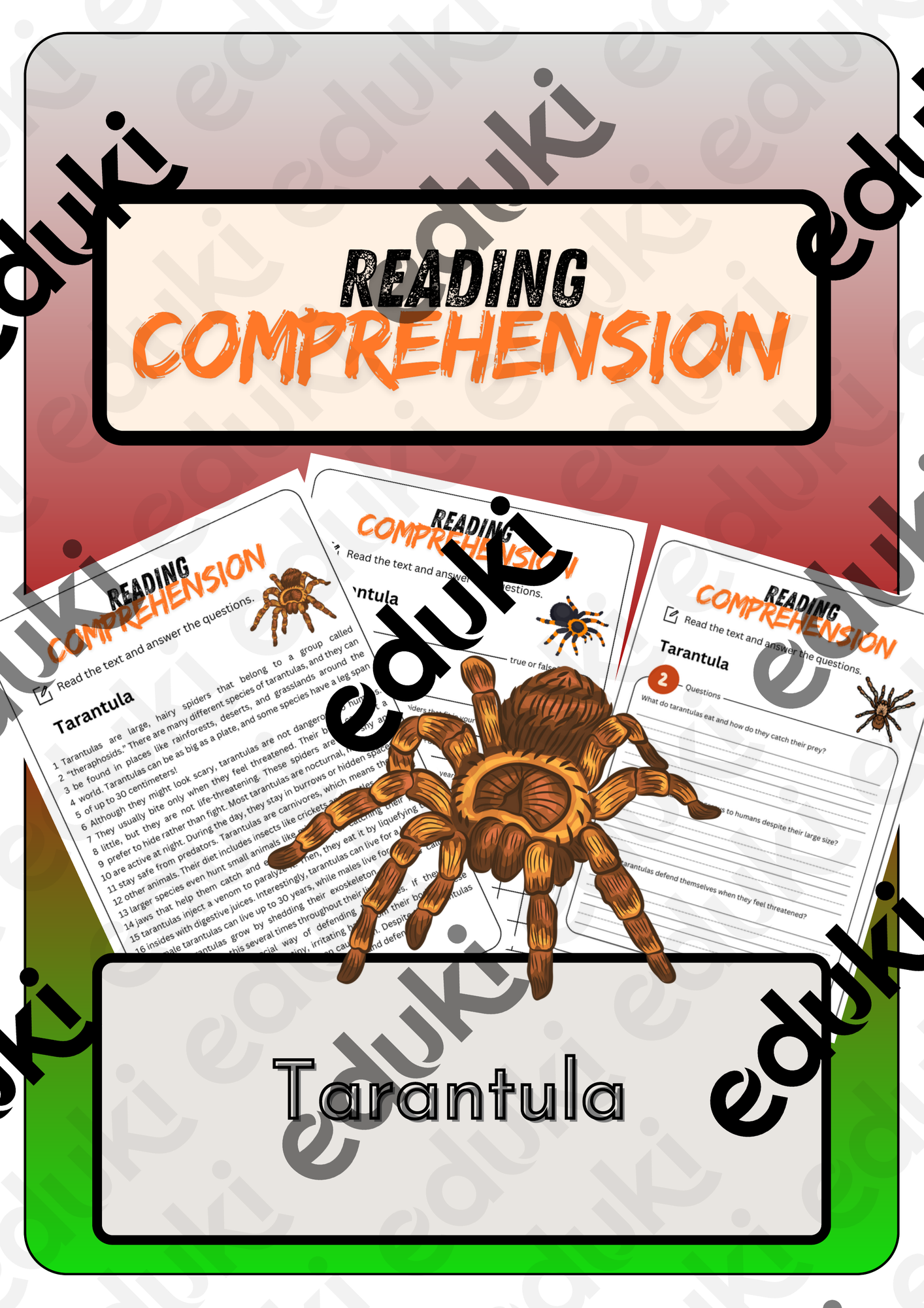Reading Comprehension - Tarantula + Solutions – Unterrichtsmaterial im ...