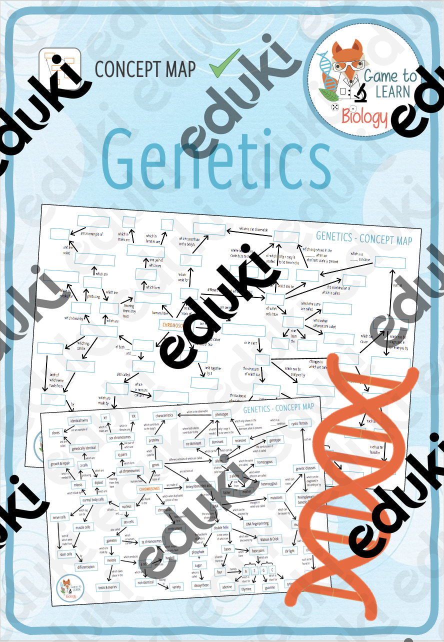 Genetics - Concept Map – Unterrichtsmaterial im Fach Biologie