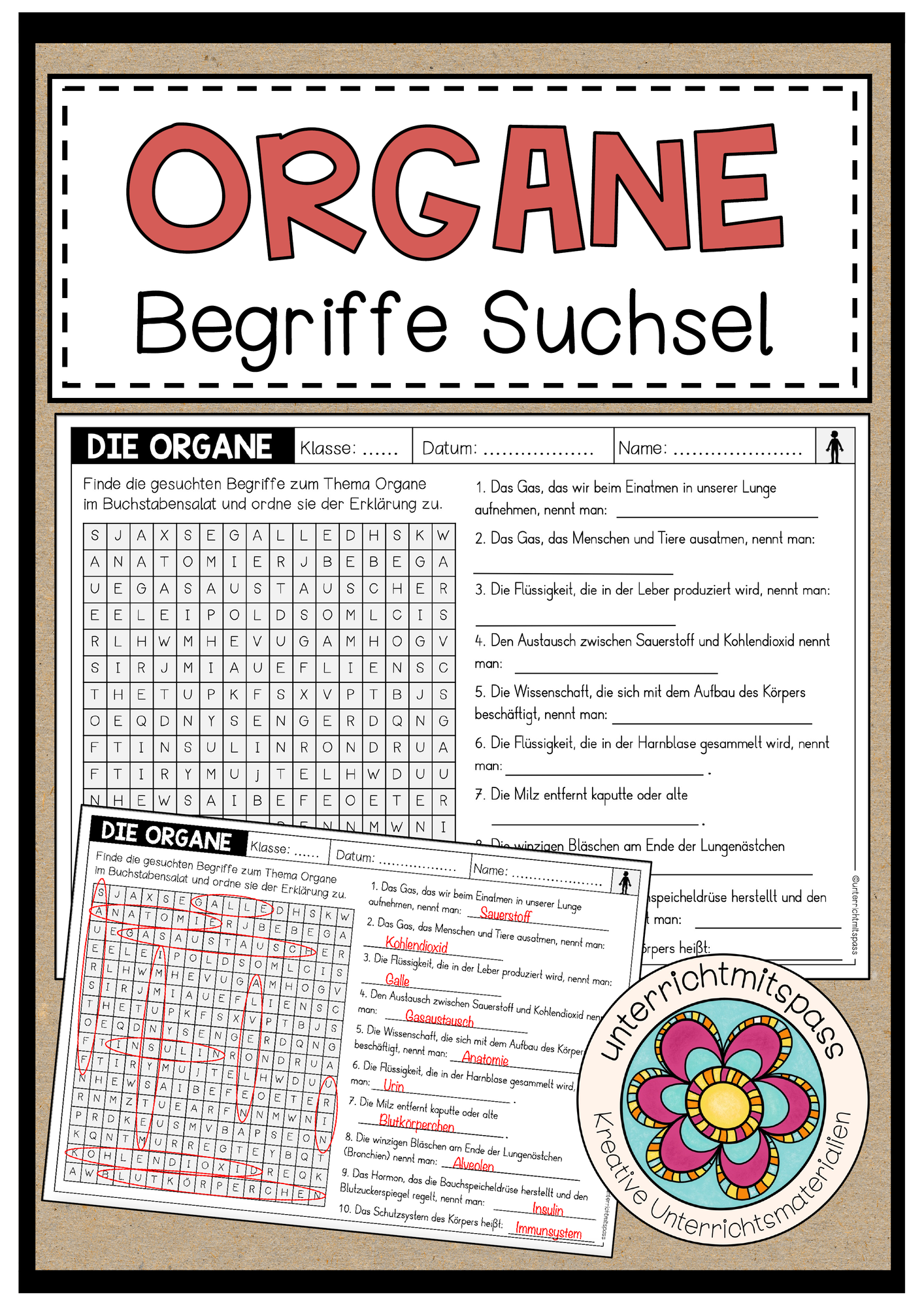 DIE ORGANE - Begriffe Suchsel (Arbeitsblatt) – Unterrichtsmaterial in ...