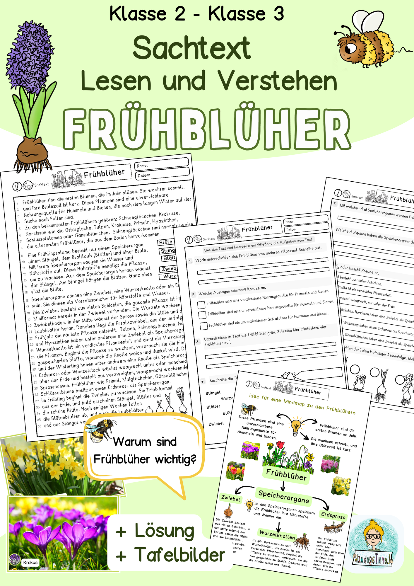 Frühblüher Erster Sachtext Lesen und Verstehen, Klasse 2, 3, Leseübung ...