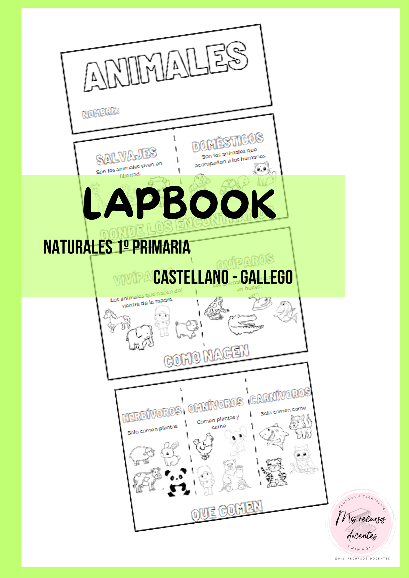 LAPBOOK - Clasificación de animales 1º ED.PRIMARIA - material de la ...