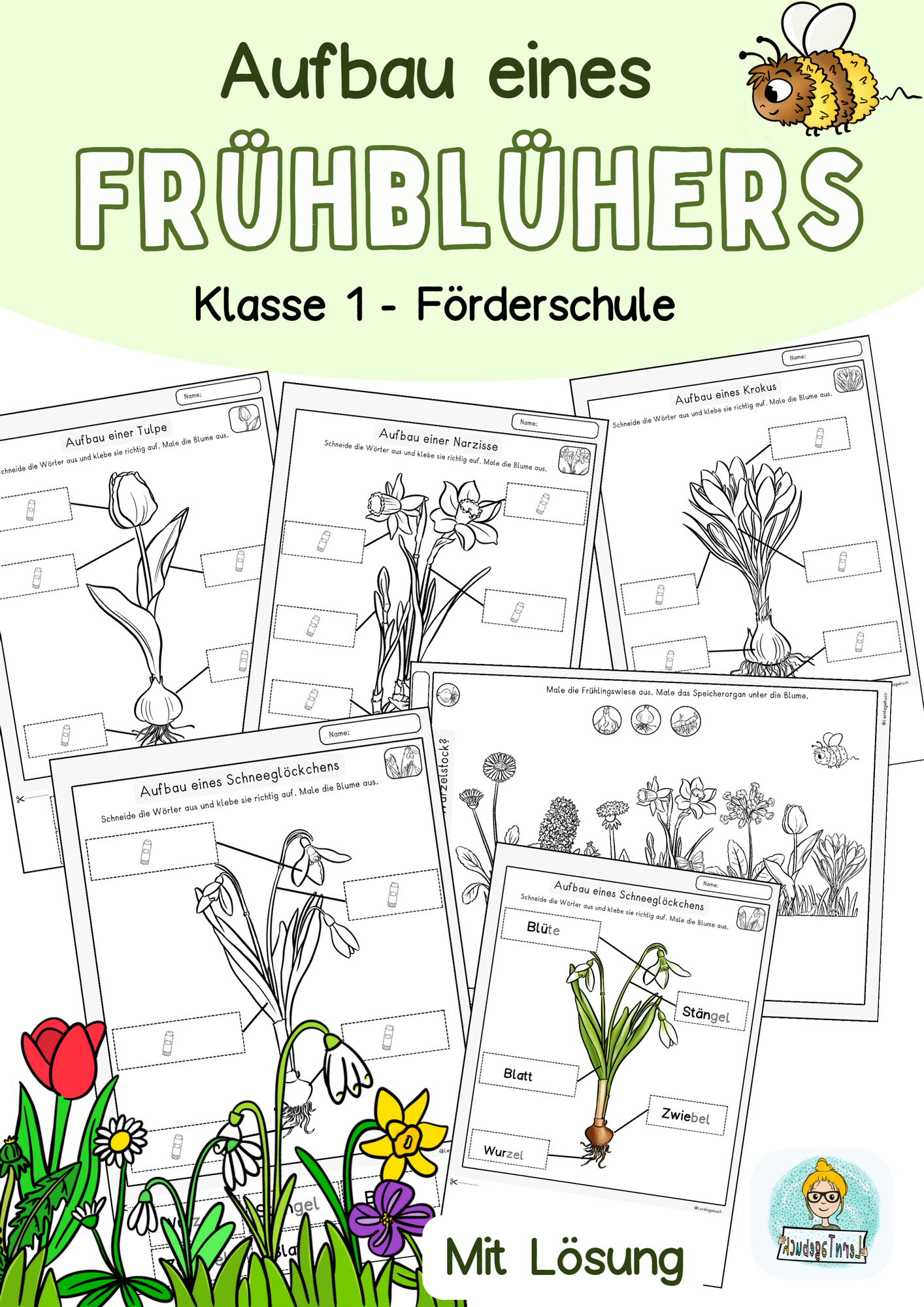 Arbeitsblätter Aufbau Frühblüher Klasse 1, 2, DaZ, Förderschule ...