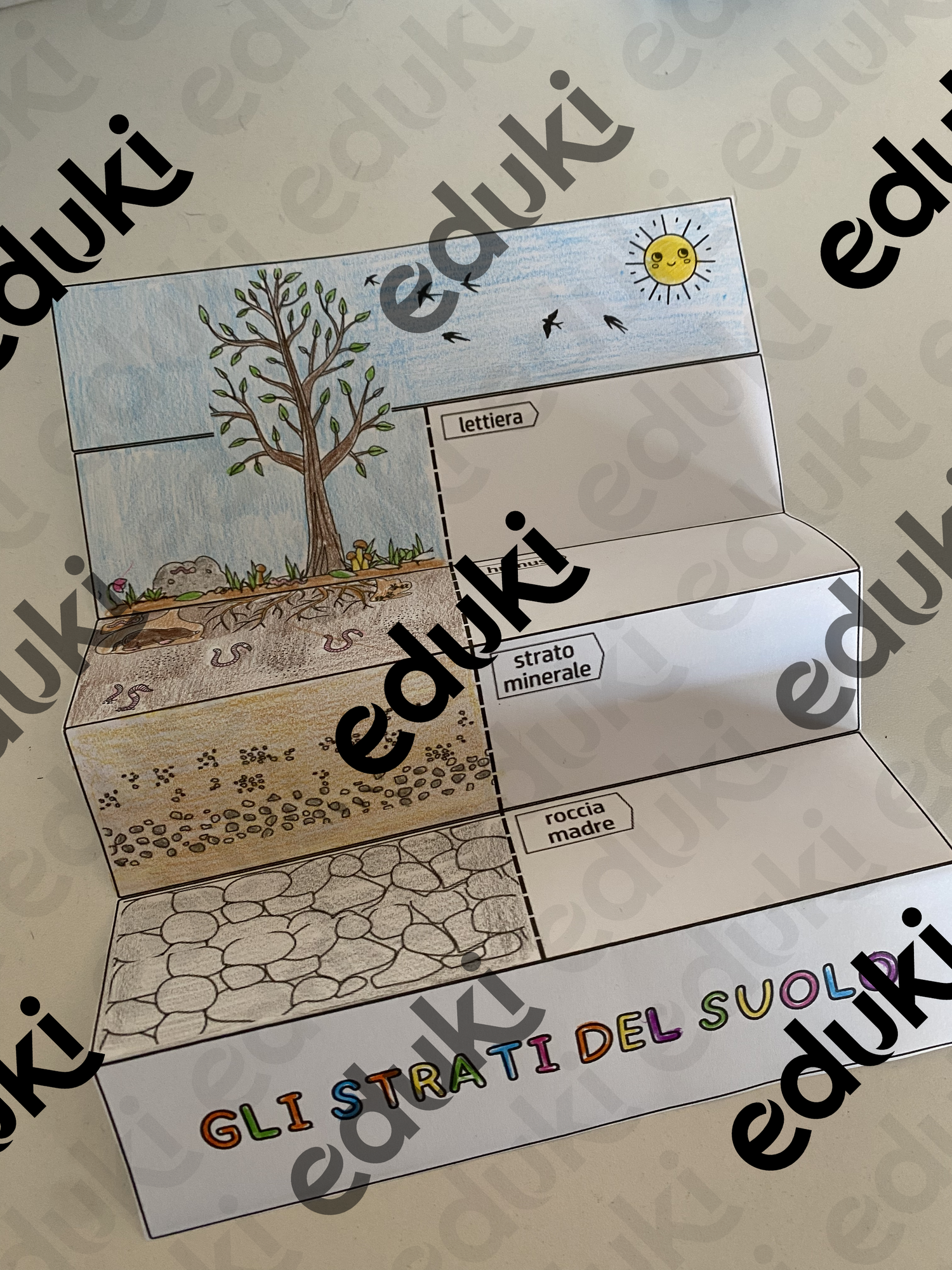 Gli strati del suolo (lapbook) - scienze classe quarta - Materiale ...
