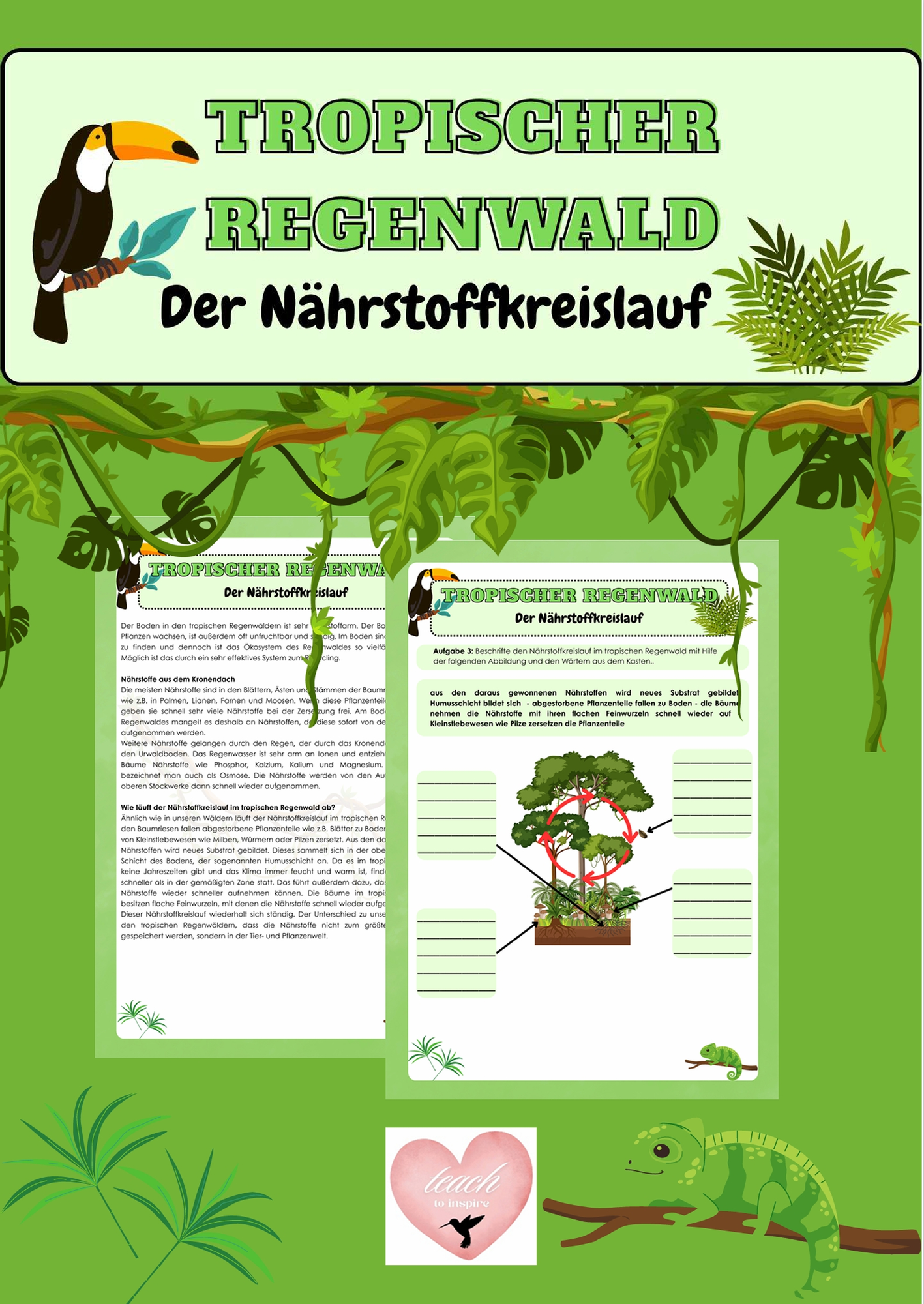 Tropischer Regenwald - Der Nährstoffkreislauf – Unterrichtsmaterial im ...