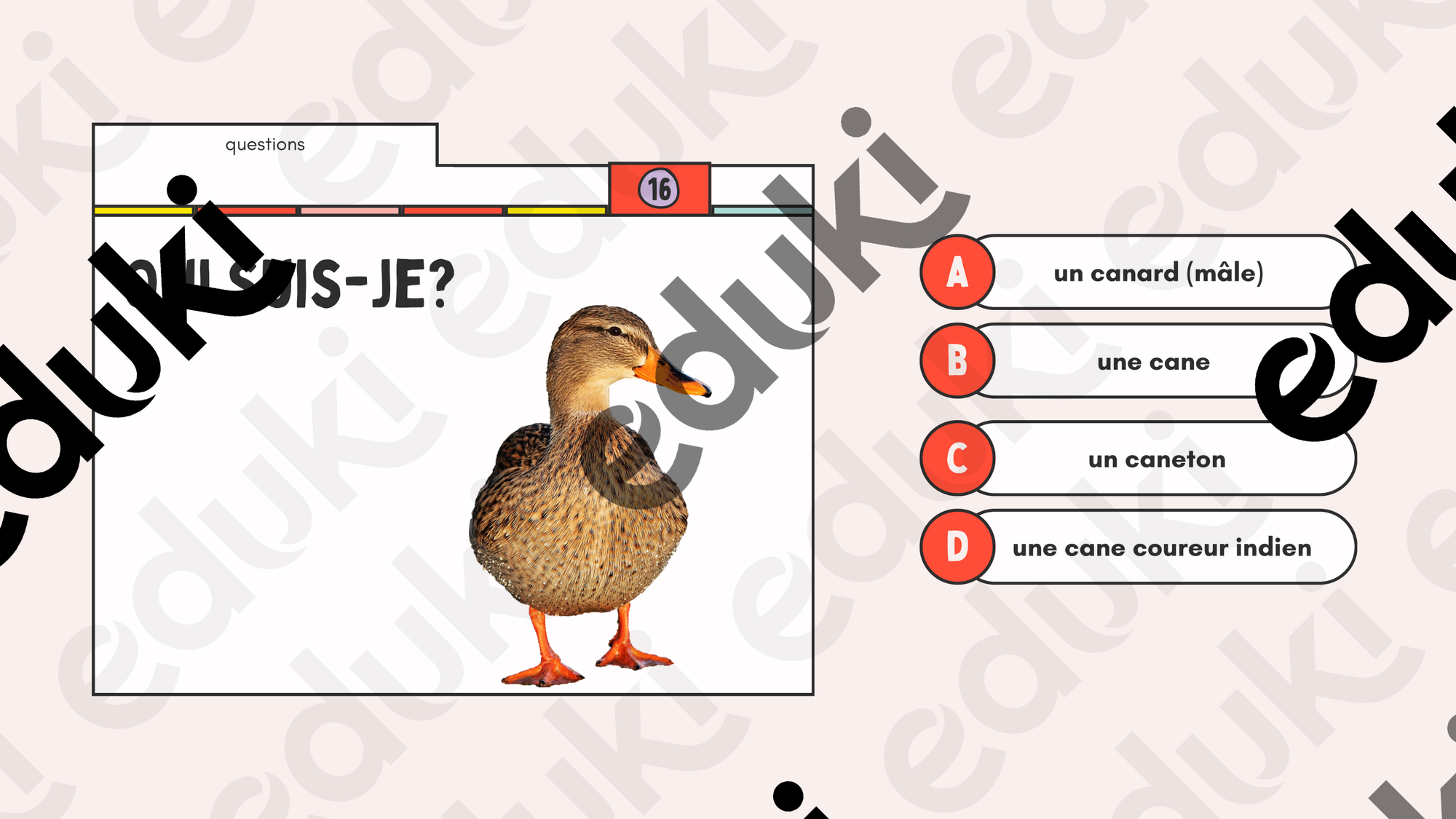 quizz sur le canard (1) - Ressource pédagogique pour ton cours de ...
