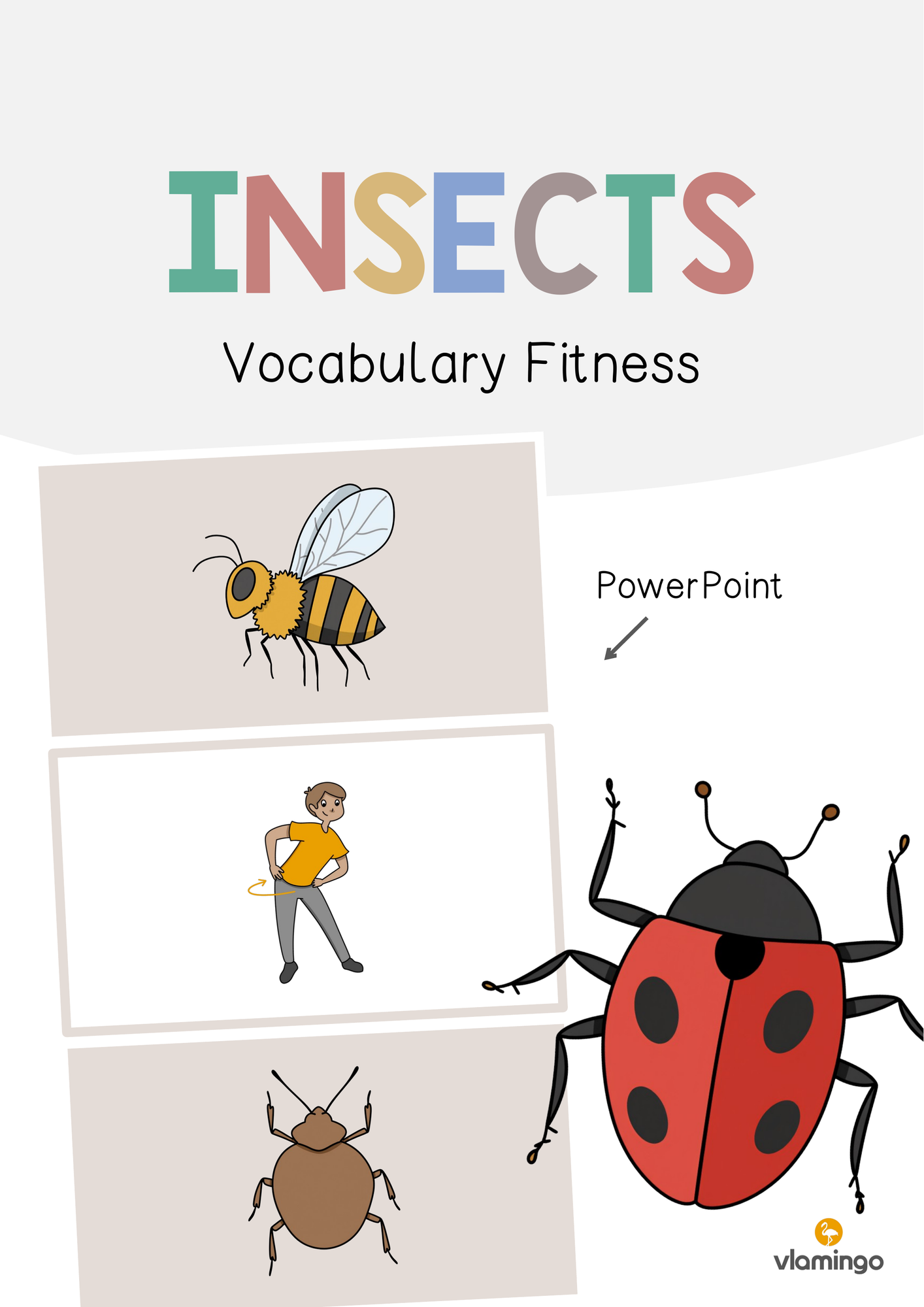 Insects / Insectos: Vocabulary Fitness (Fitness de vocabulario ...