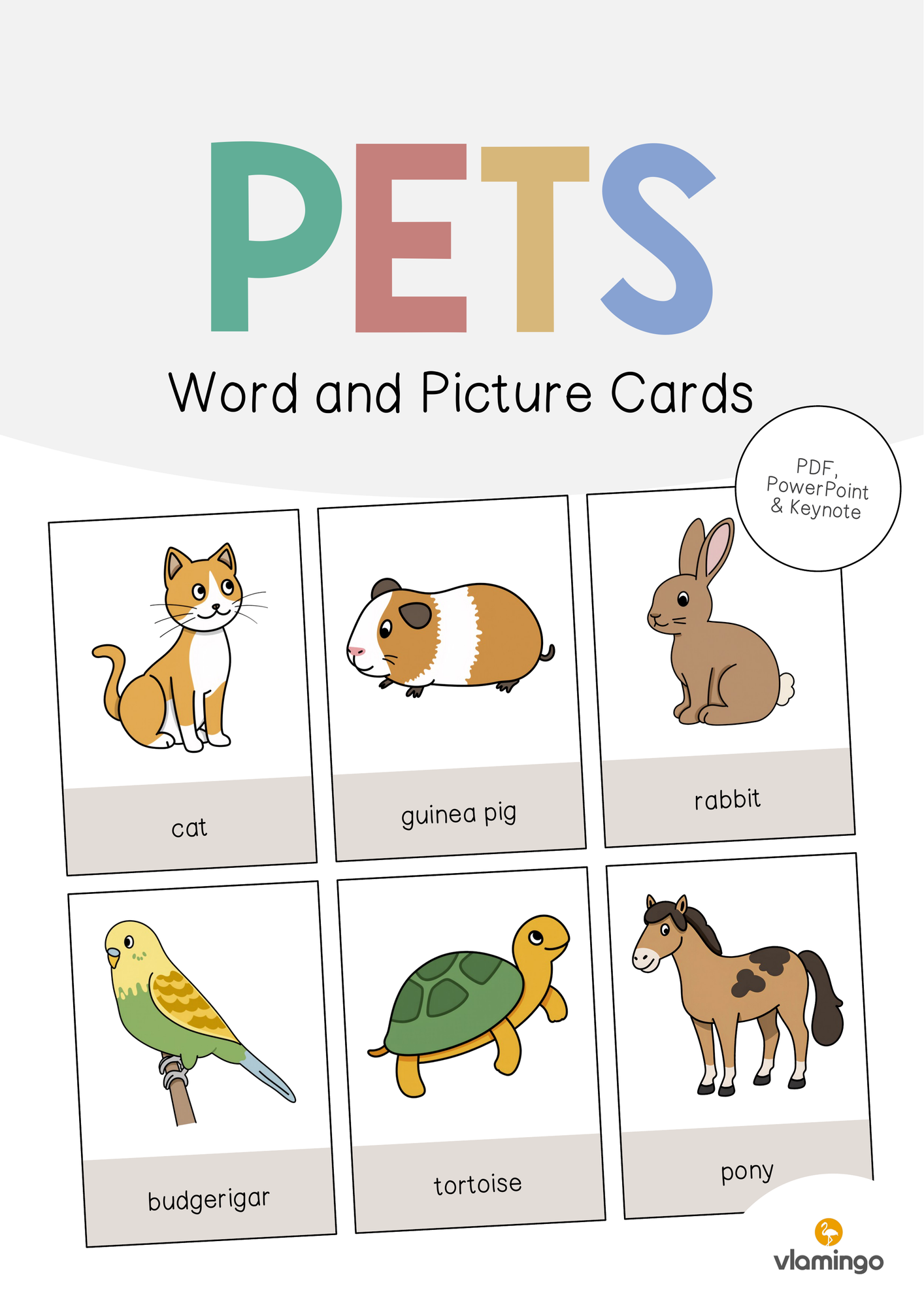 Pets / Mascotas: Word and Picture Cards (Tarjetas con imágenes para la ...