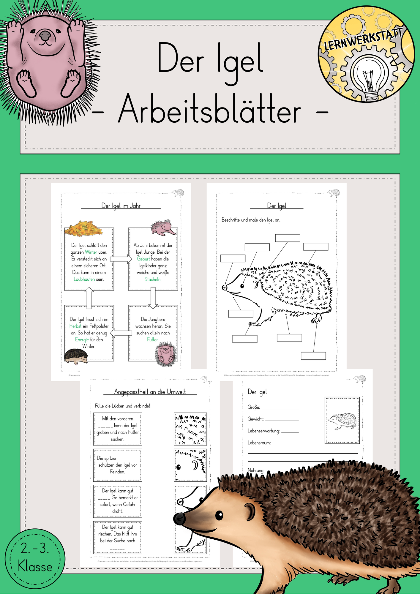Igel Arbeitsblätter – Unterrichtsmaterial im Fach Sachunterricht