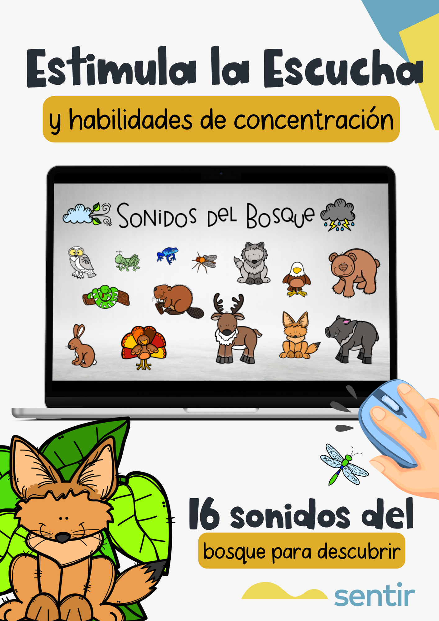 GRATIS – Paisaje Sonoro: Adiviná los Sonidos del Bosque - material de ...