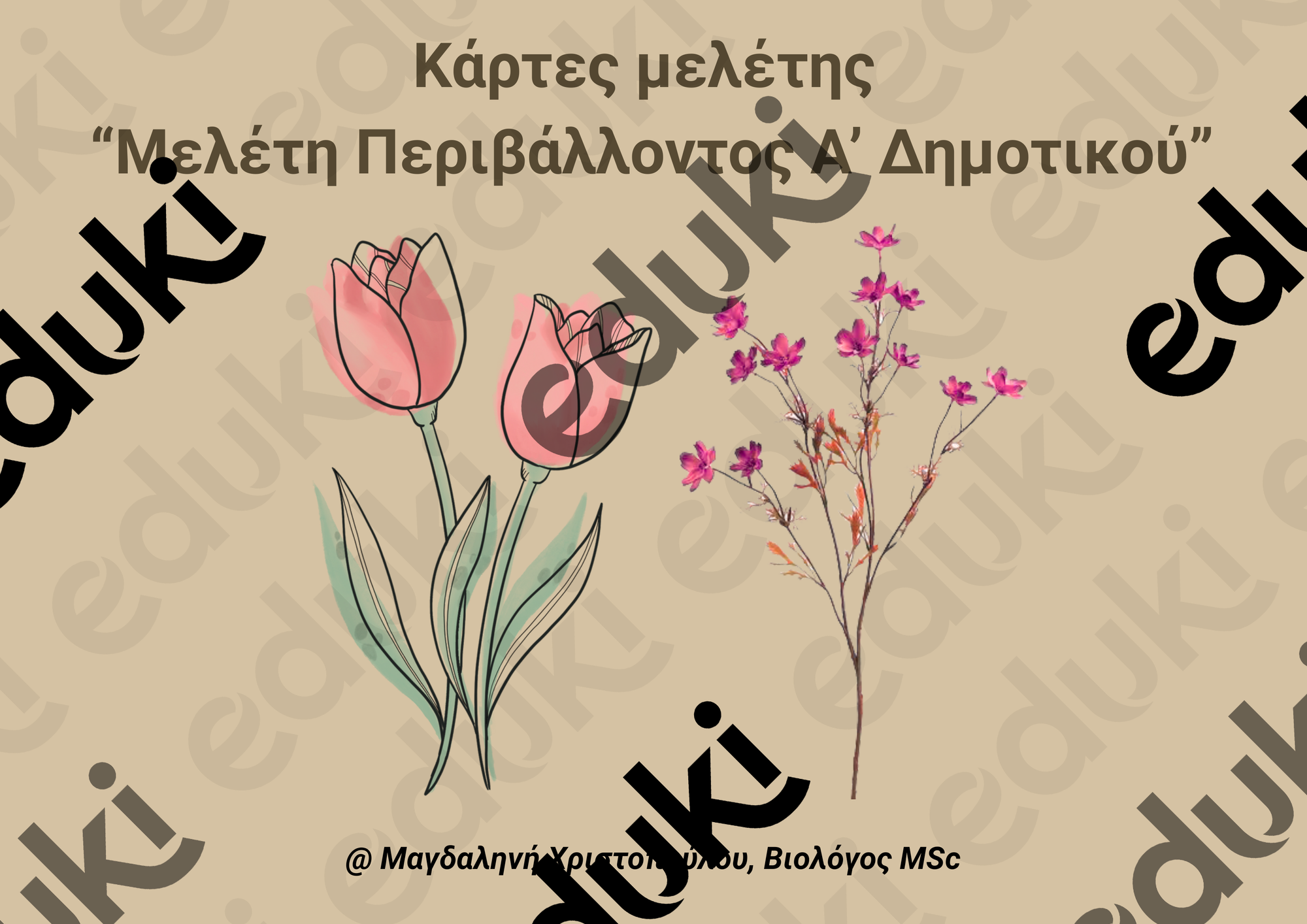 Μελέτη Περιβάλλοντος Α Δημοτικού-Κάρτες μελέτης - Εκπαιδευτικό υλικό ...