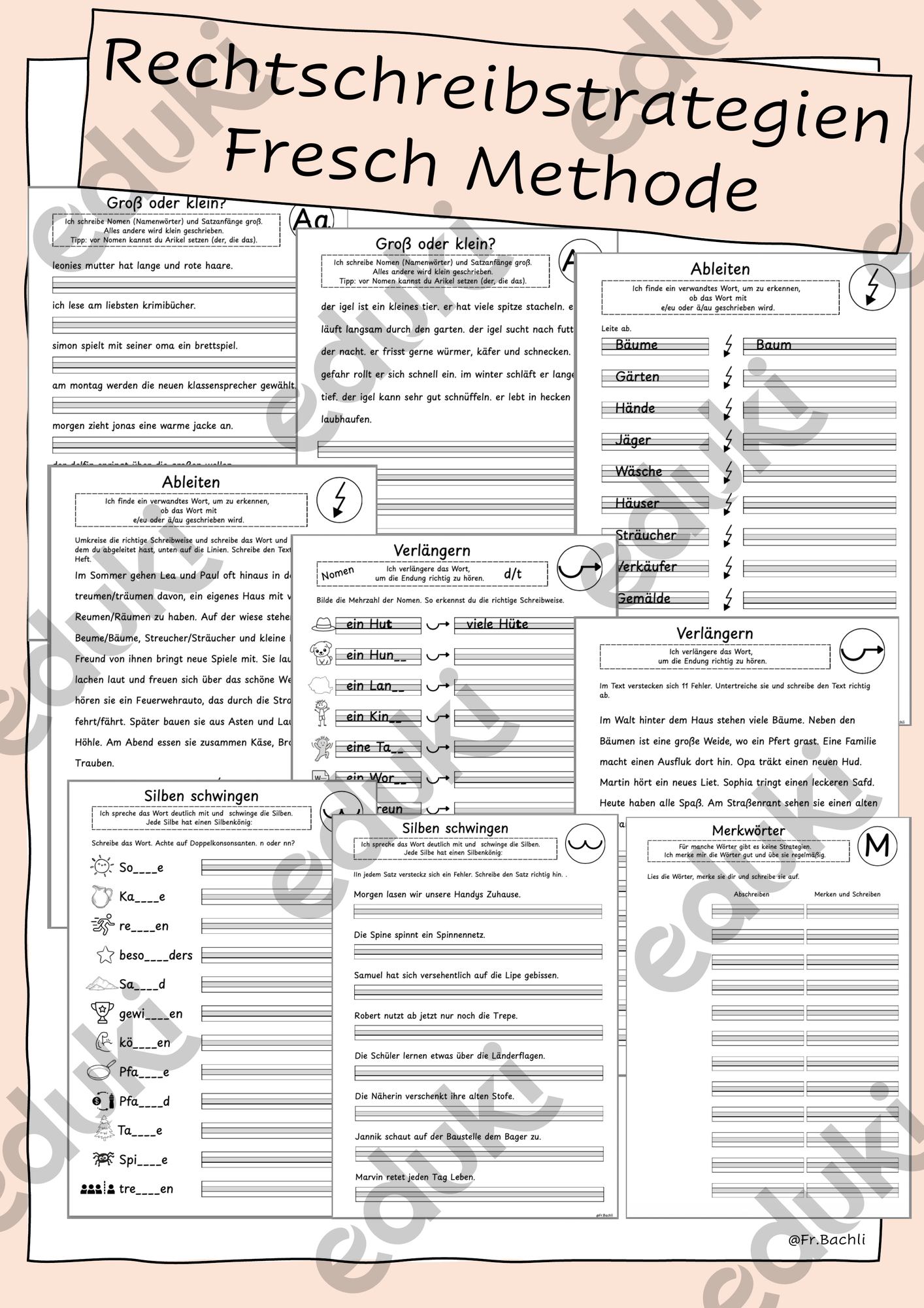 Arbeitsblätter Fresch Methode (alle Strategien) – Unterrichtsmaterial ...