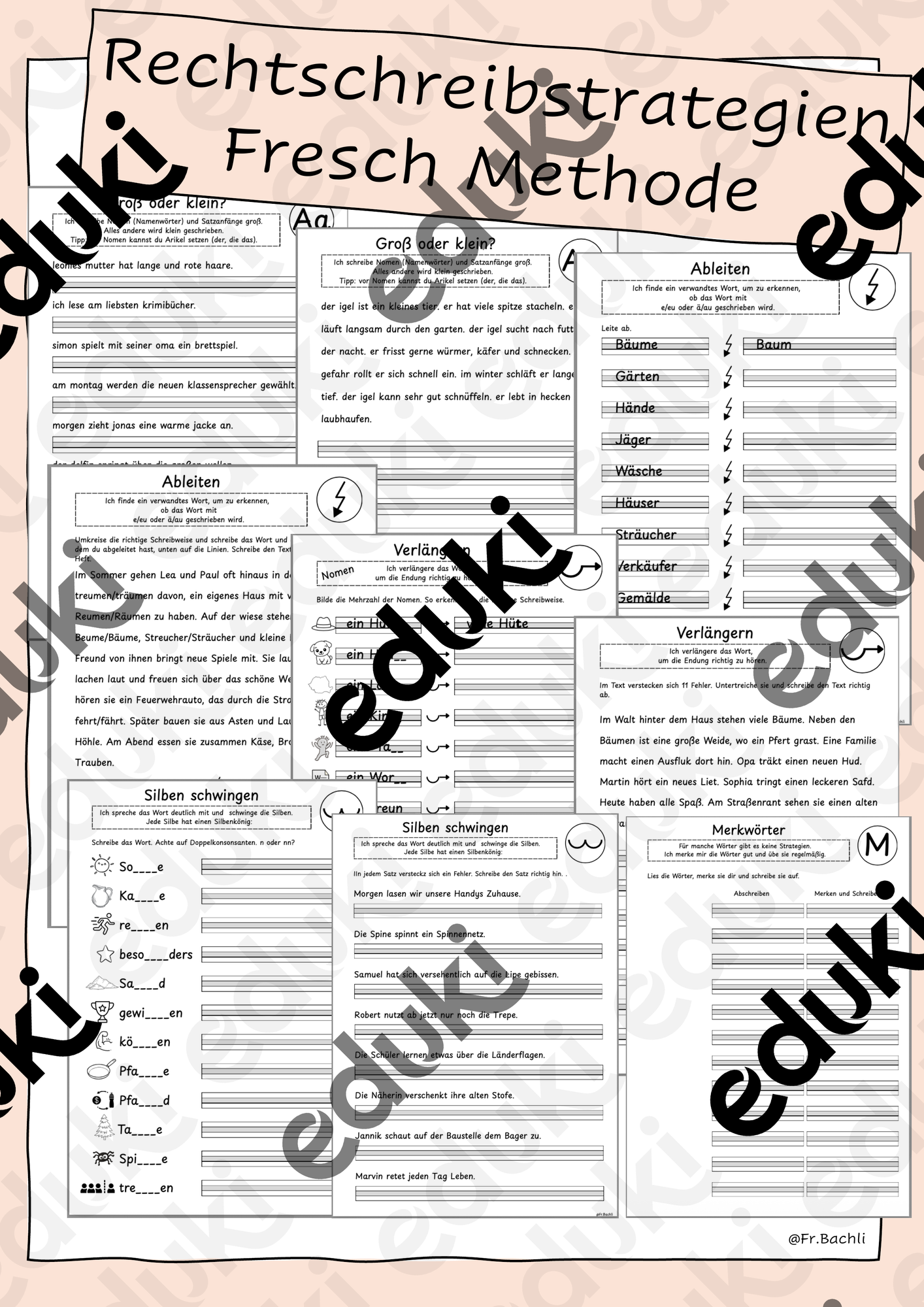 Arbeitsblätter Fresch Methode (alle Strategien) – Unterrichtsmaterial ...