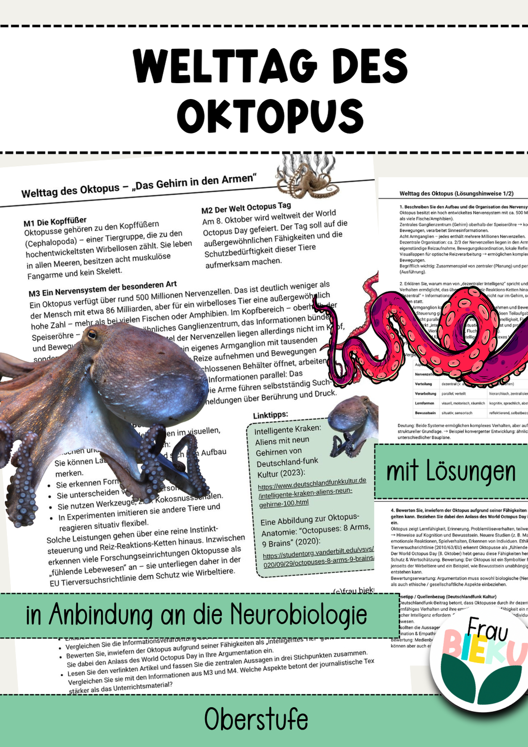 Welttag des Oktopus Neurobiologie Nervensystem – Unterrichtsmaterial im ...